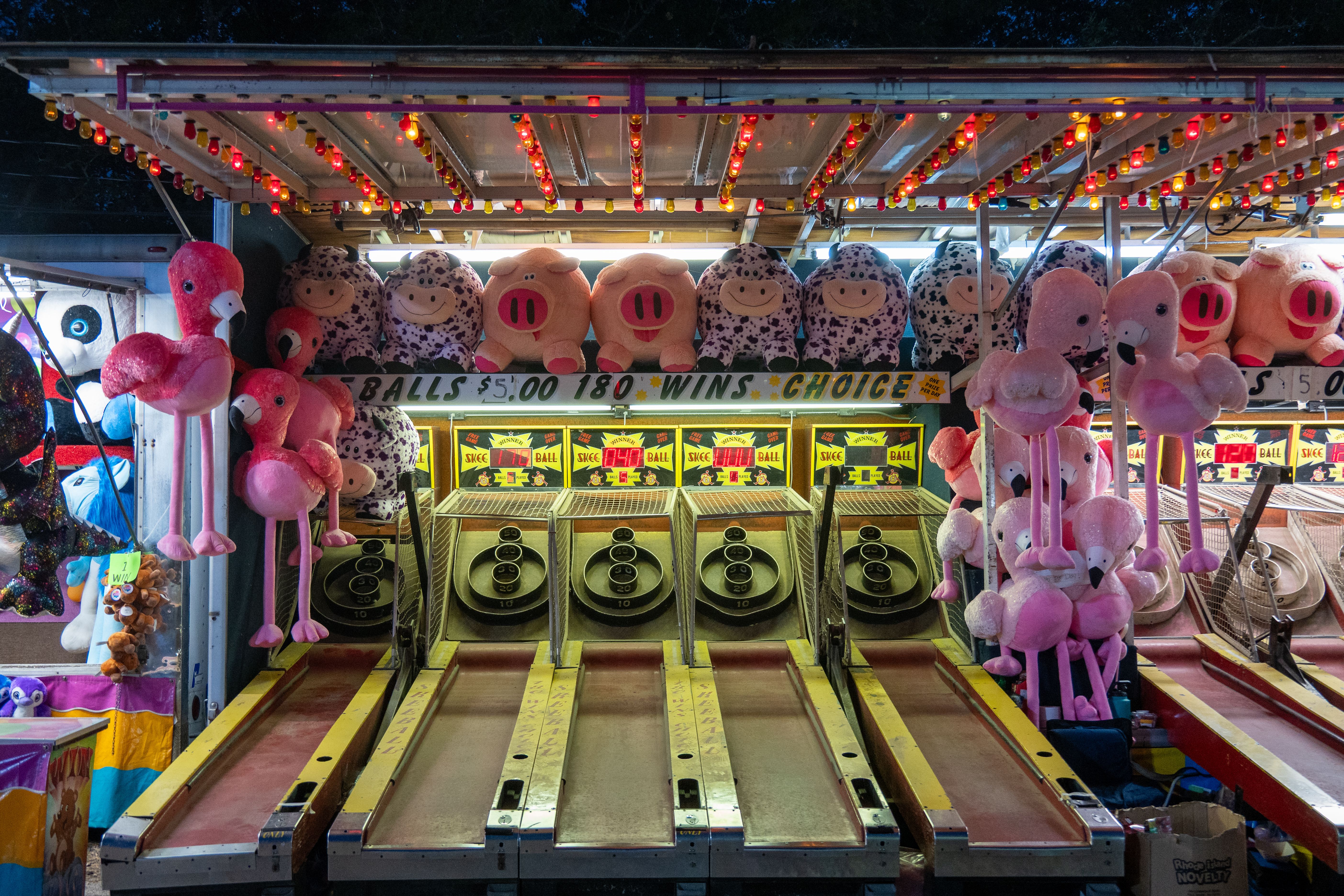 Lively Skee Ball Game at a Nighttime Fair · Free Stock Photo