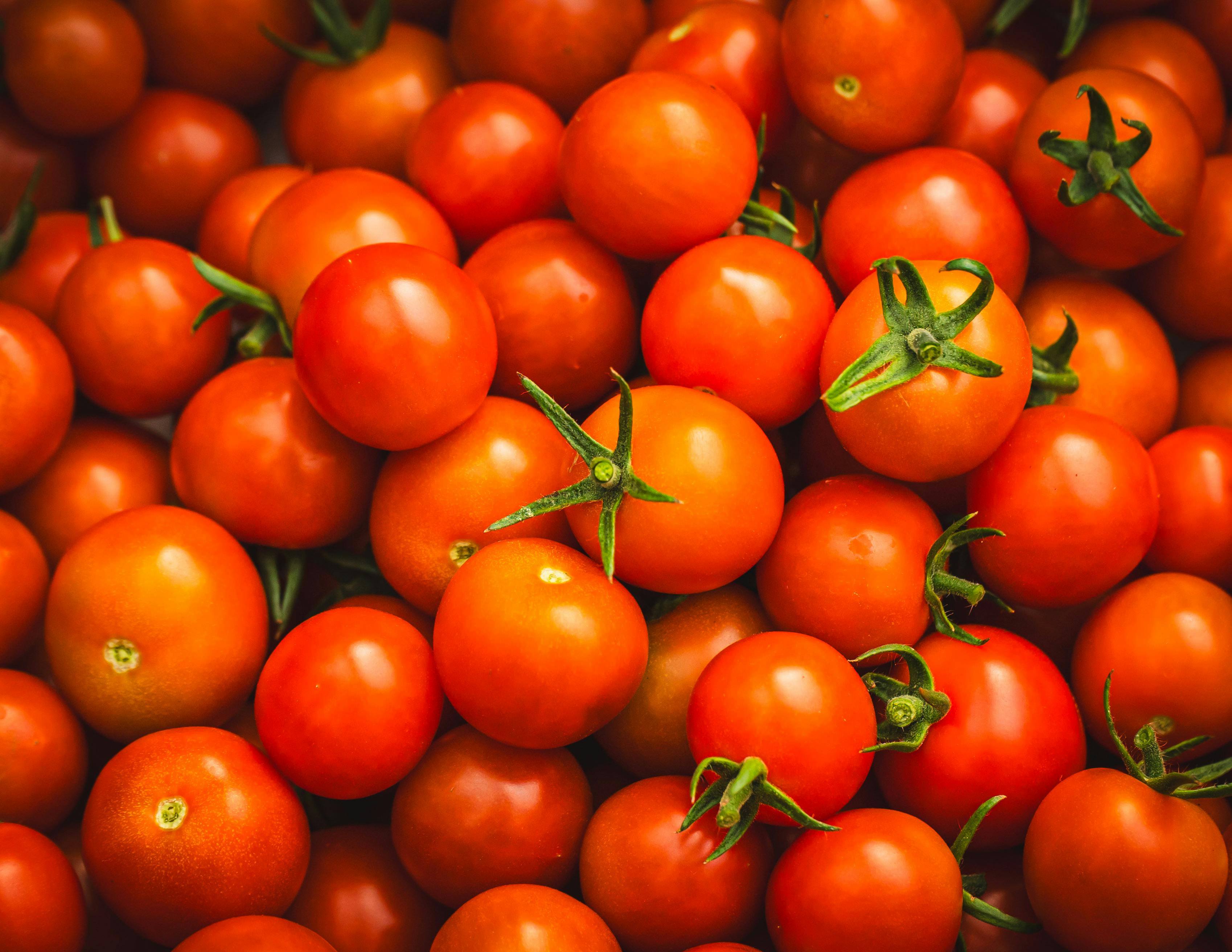 Close-up Photography of Tomatoes · Free Stock Photo