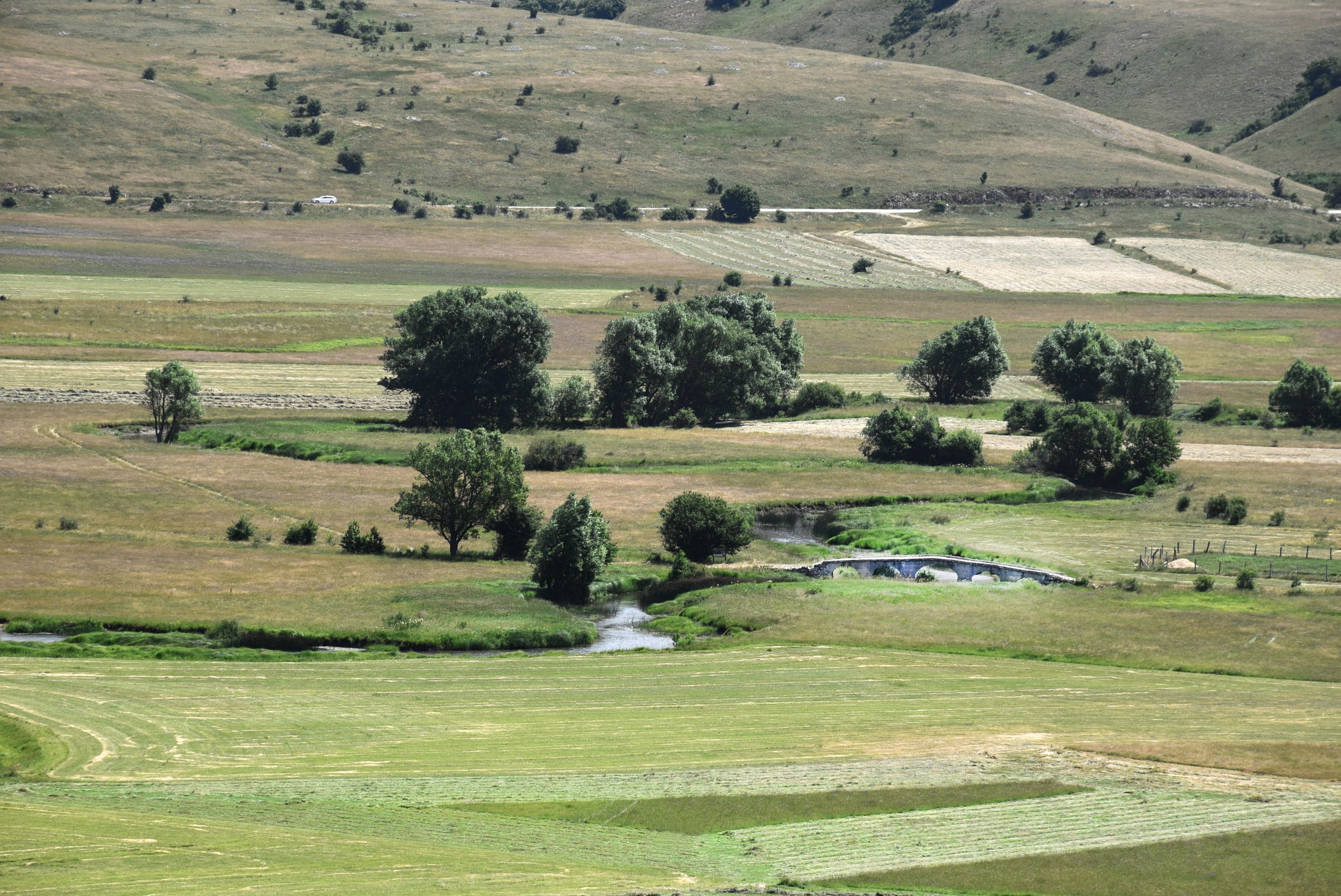 Idyllic Rural Landscape with Lush Greenery · Free Stock Photo