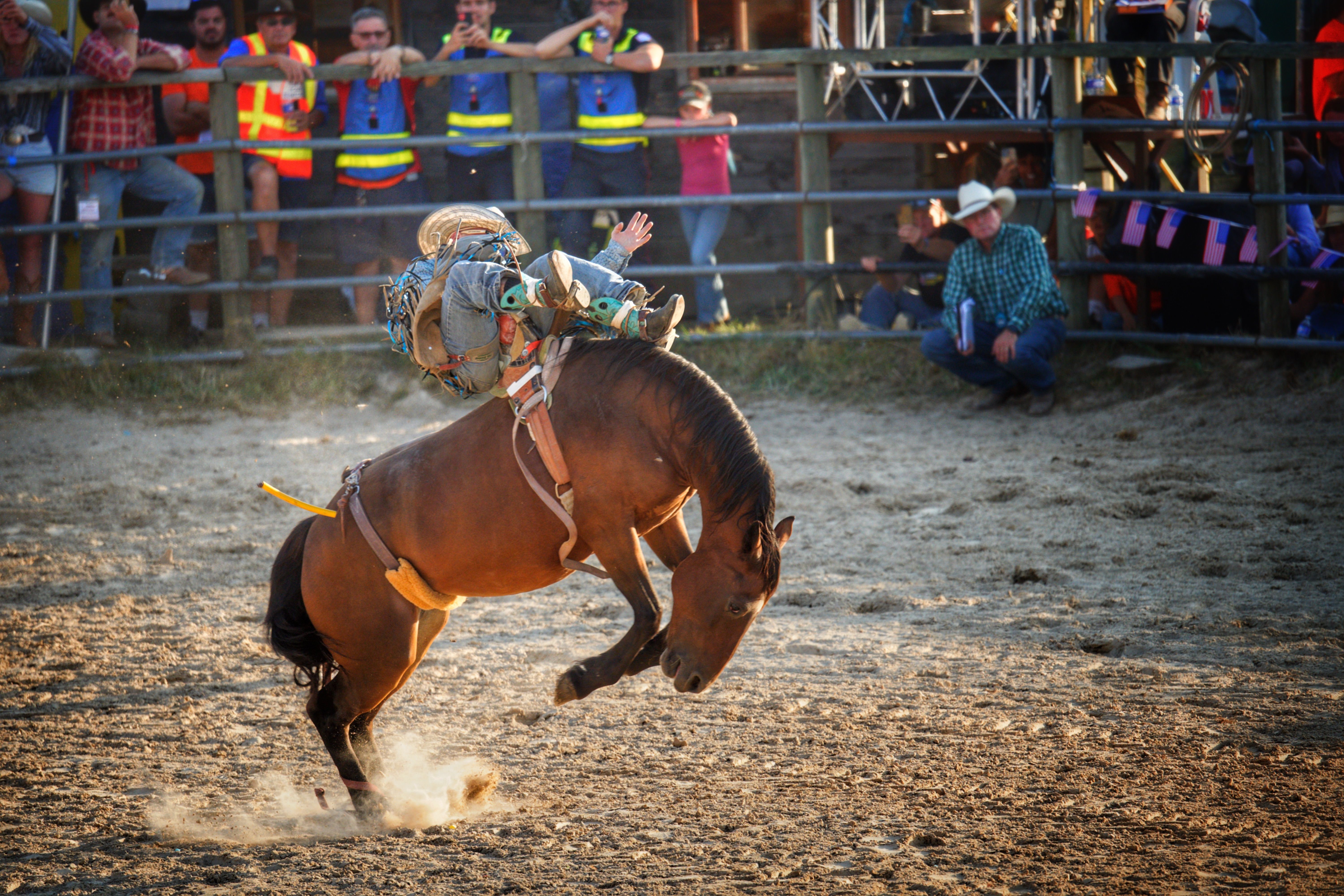 Rodeo Photos, Download The BEST Free Rodeo Stock Photos & HD Images