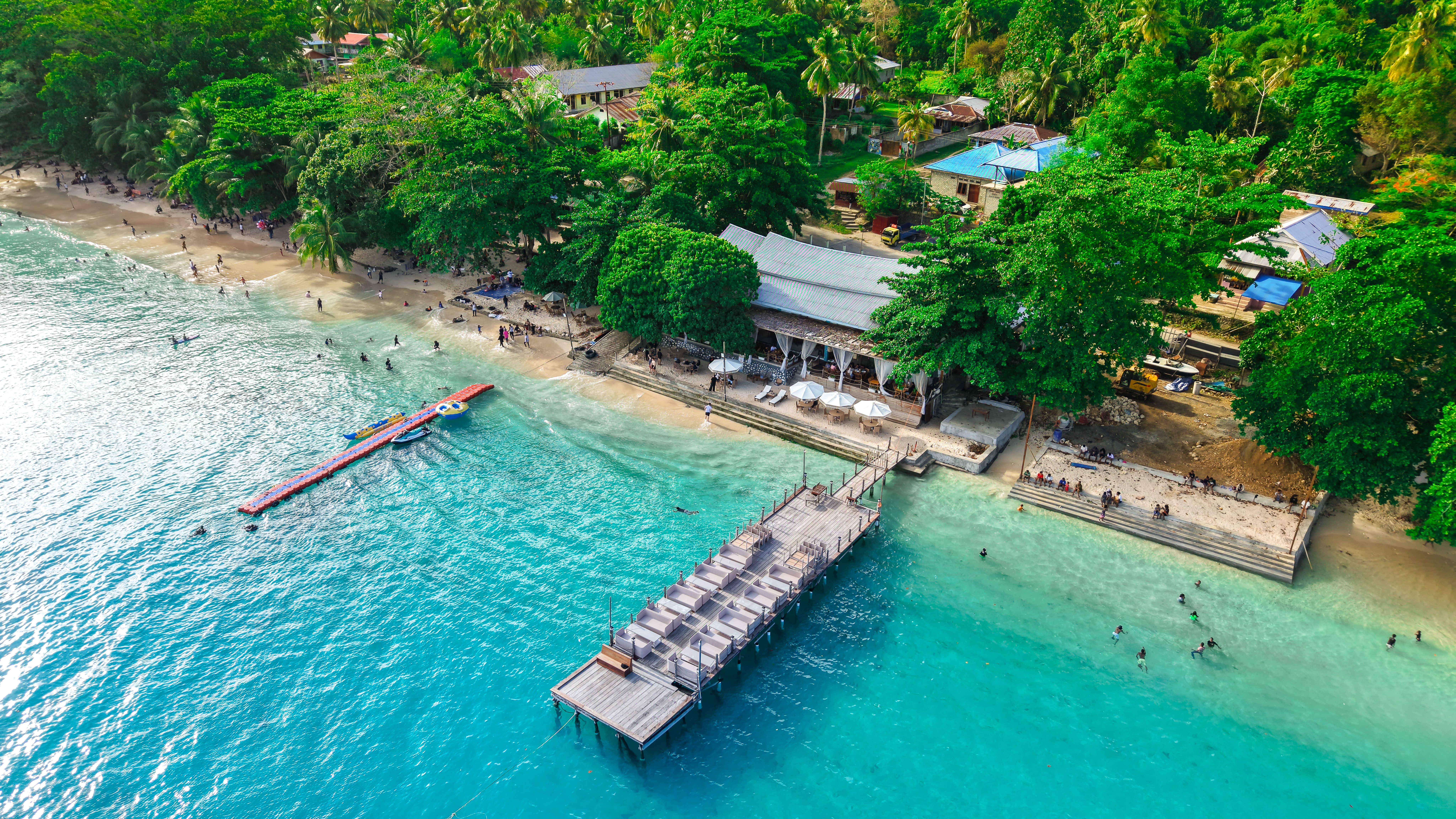Platydemus Manokwari Photos, Download The BEST Free Platydemus ...