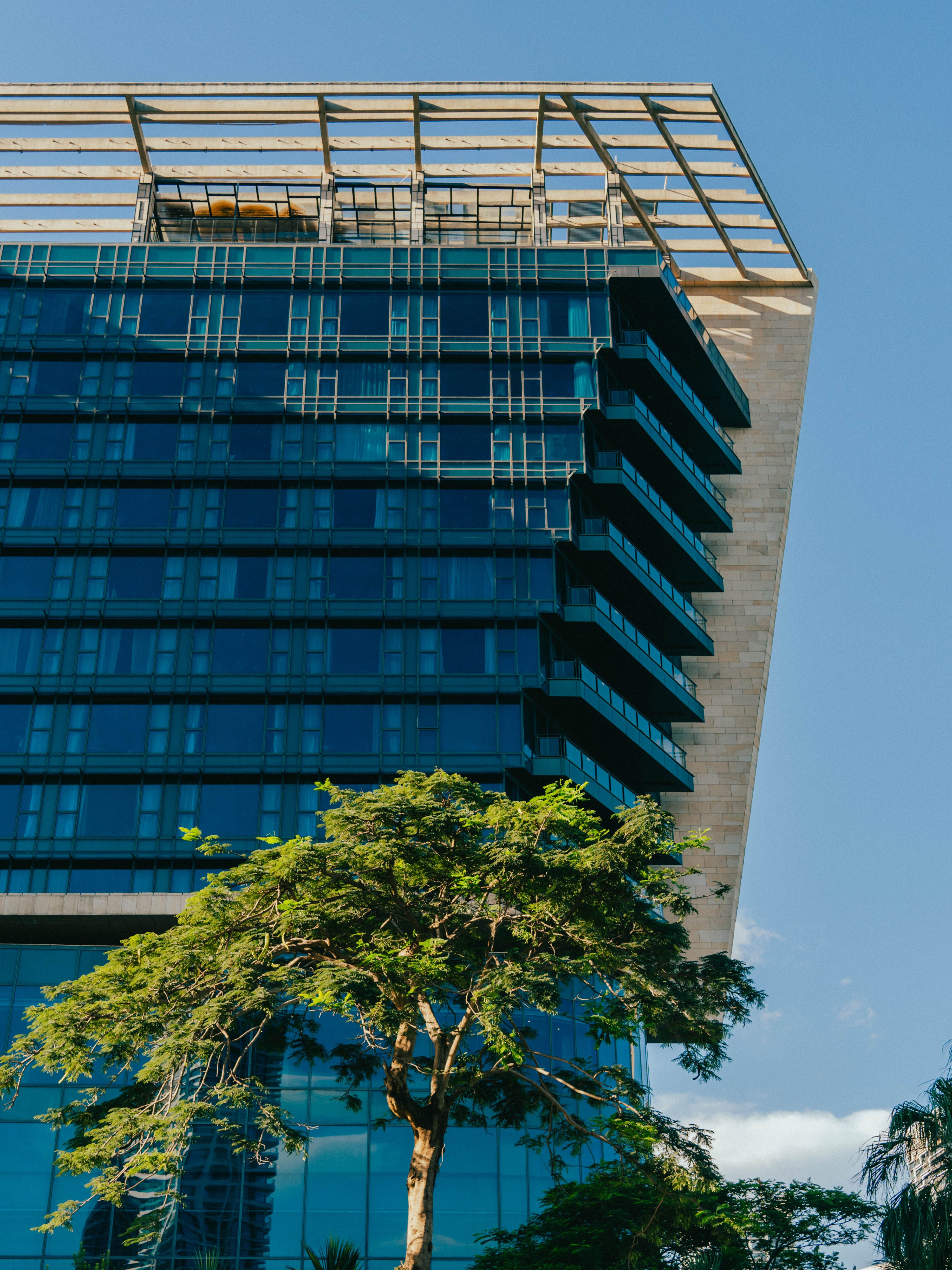 Modern Glass Skyscraper with Tree in Foreground · Free Stock Photo
