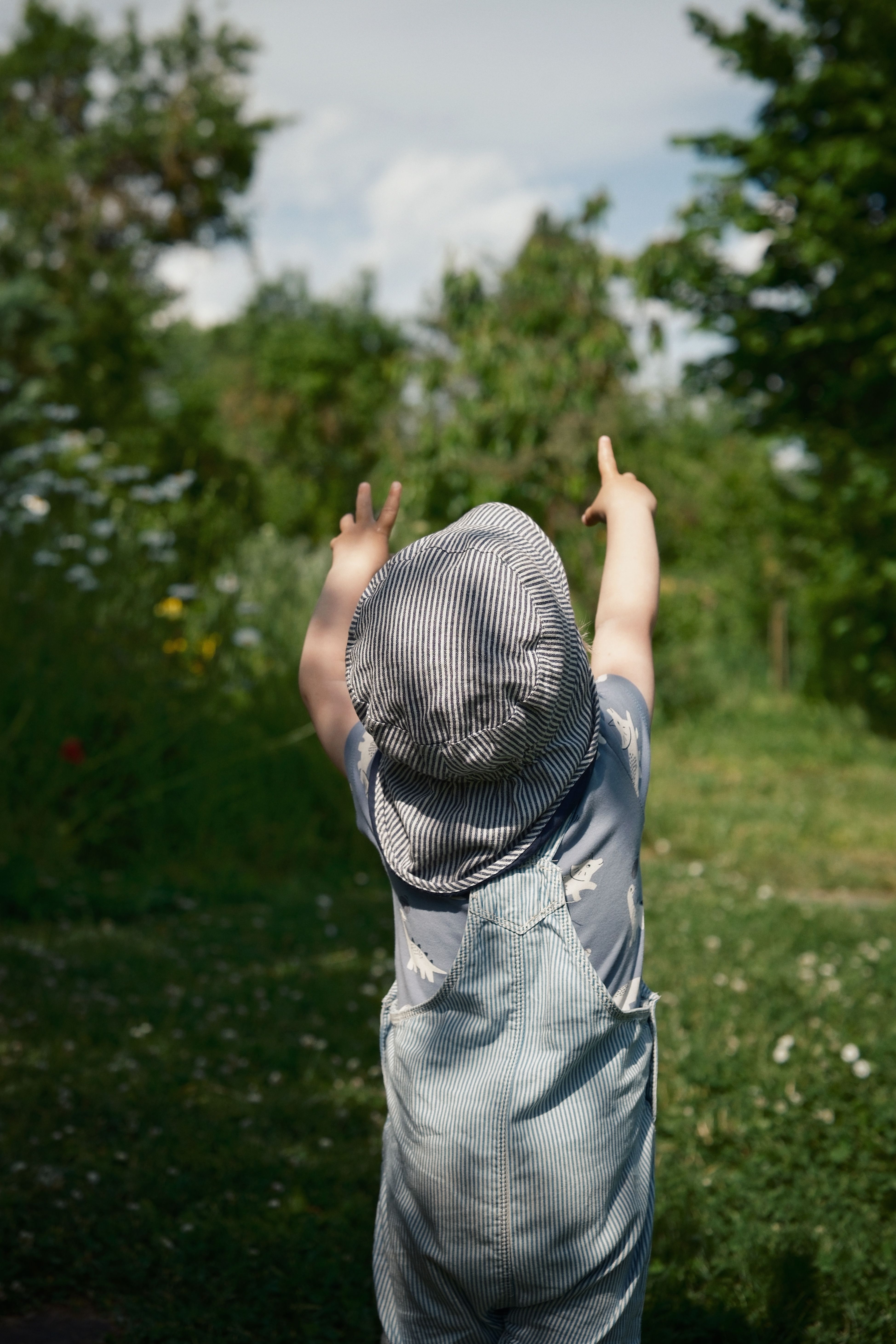 Child Reaching Up in a Sunny Garden Outdoors · Free Stock Photo