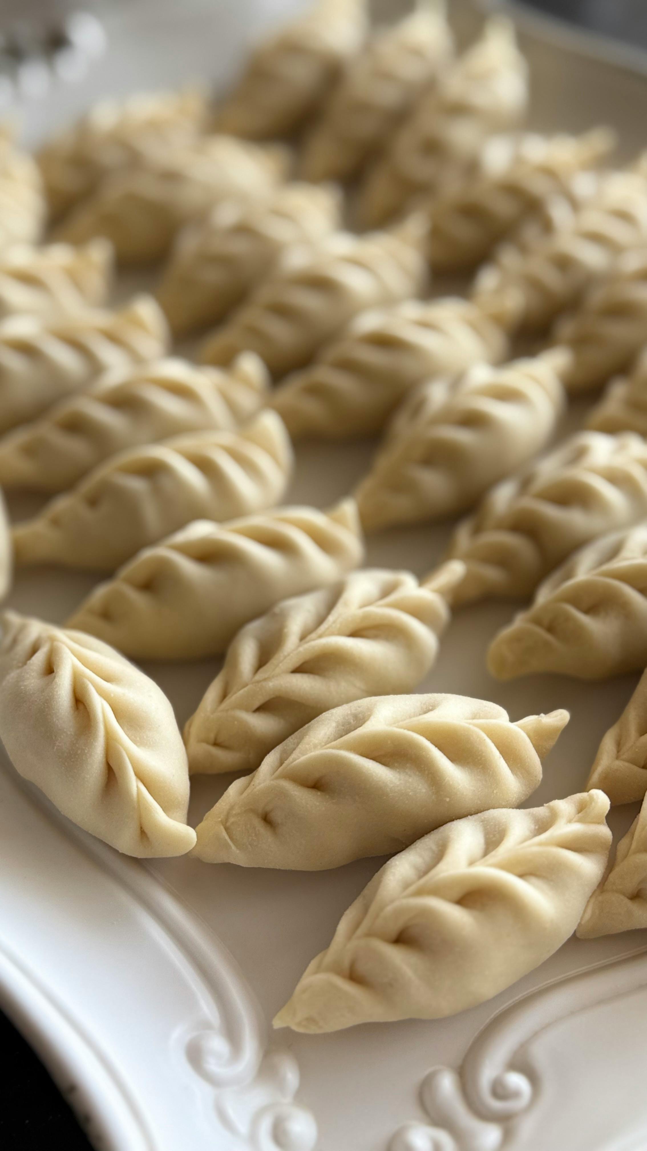 Mould Photos, Download The BEST Free Mould Stock Photos & HD Images