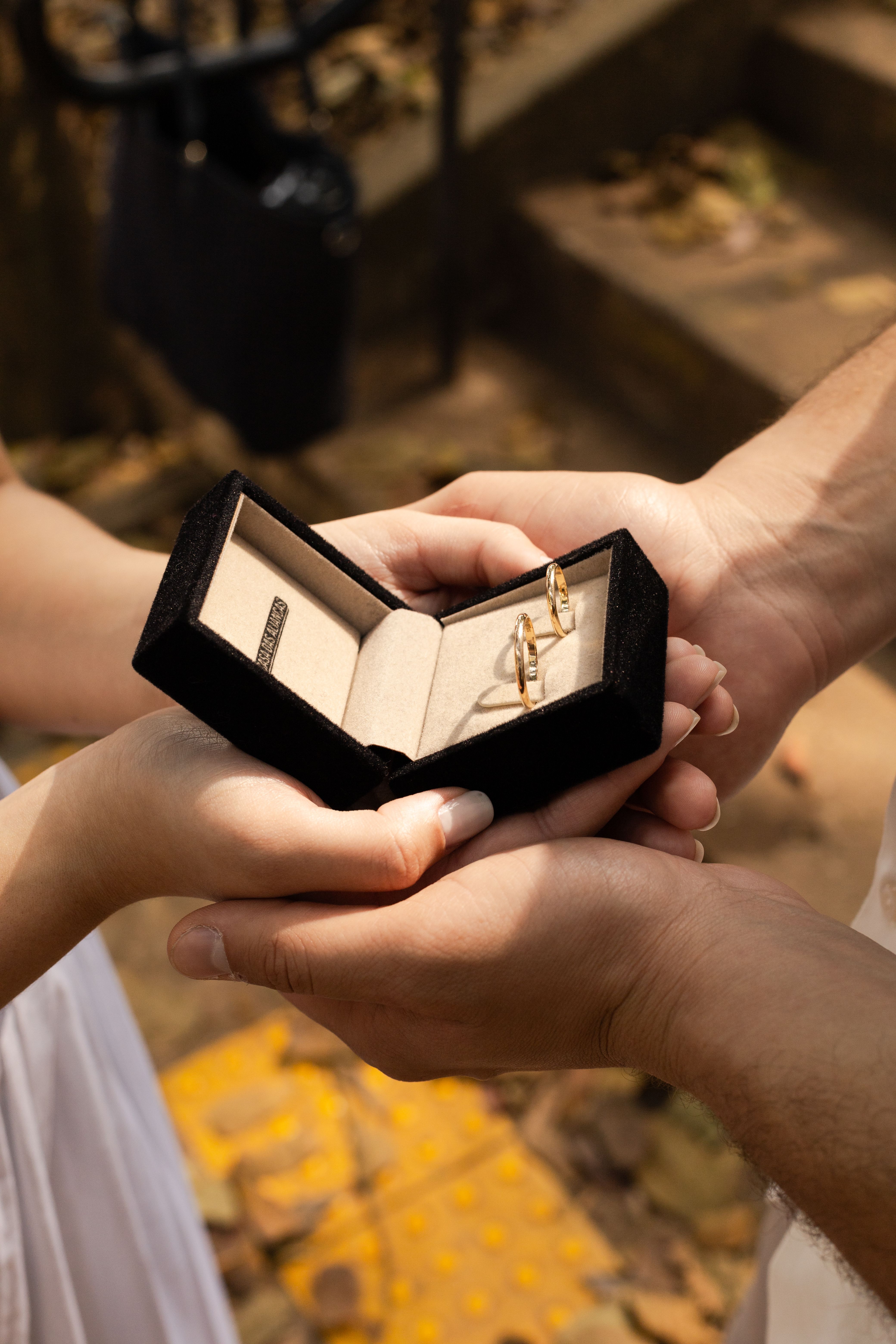 Romantic Proposal with Rings in São Paulo · Free Stock Photo