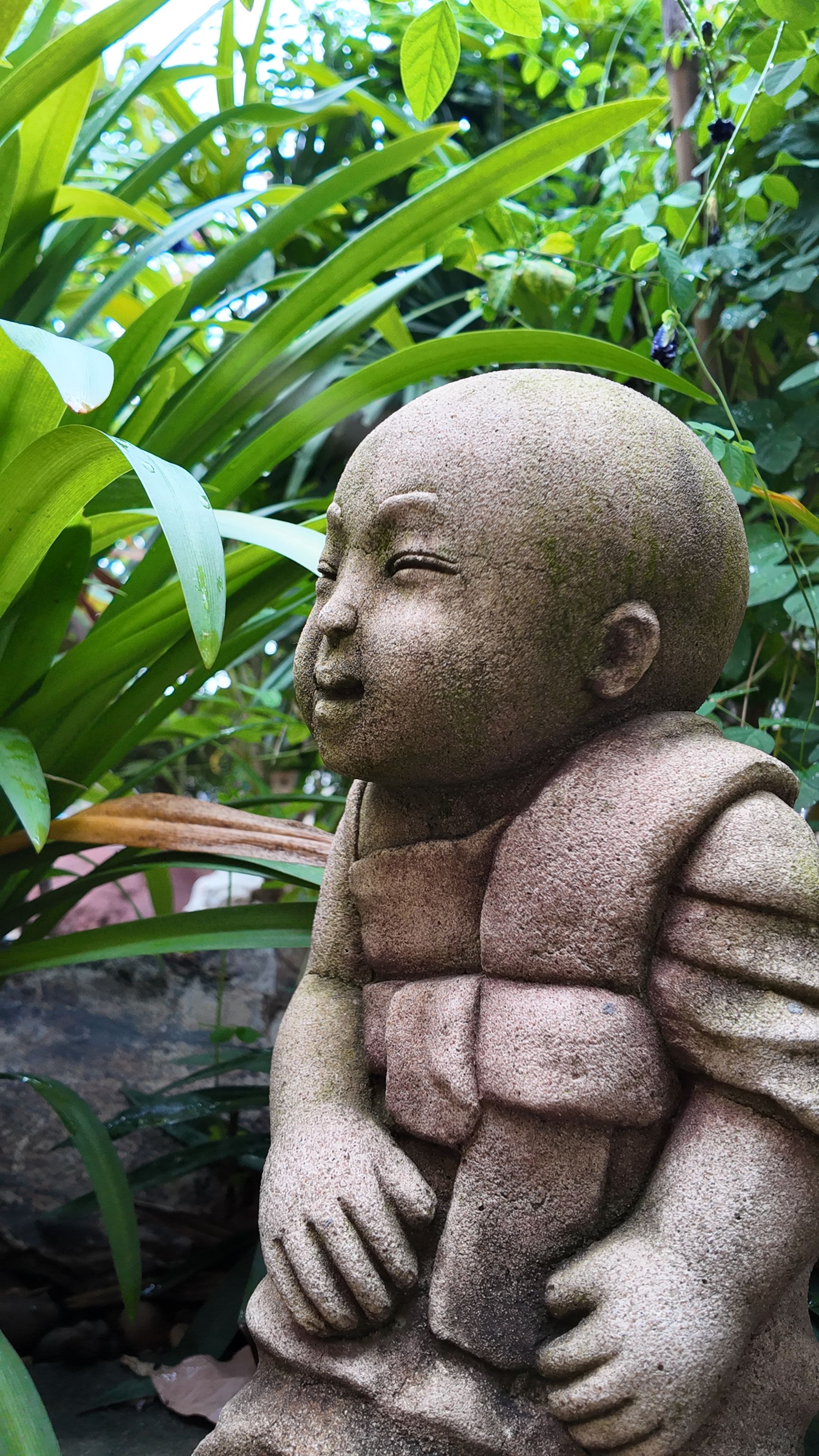 Serene Stone Monk Statue in Lush Thai Garden · Free Stock Photo