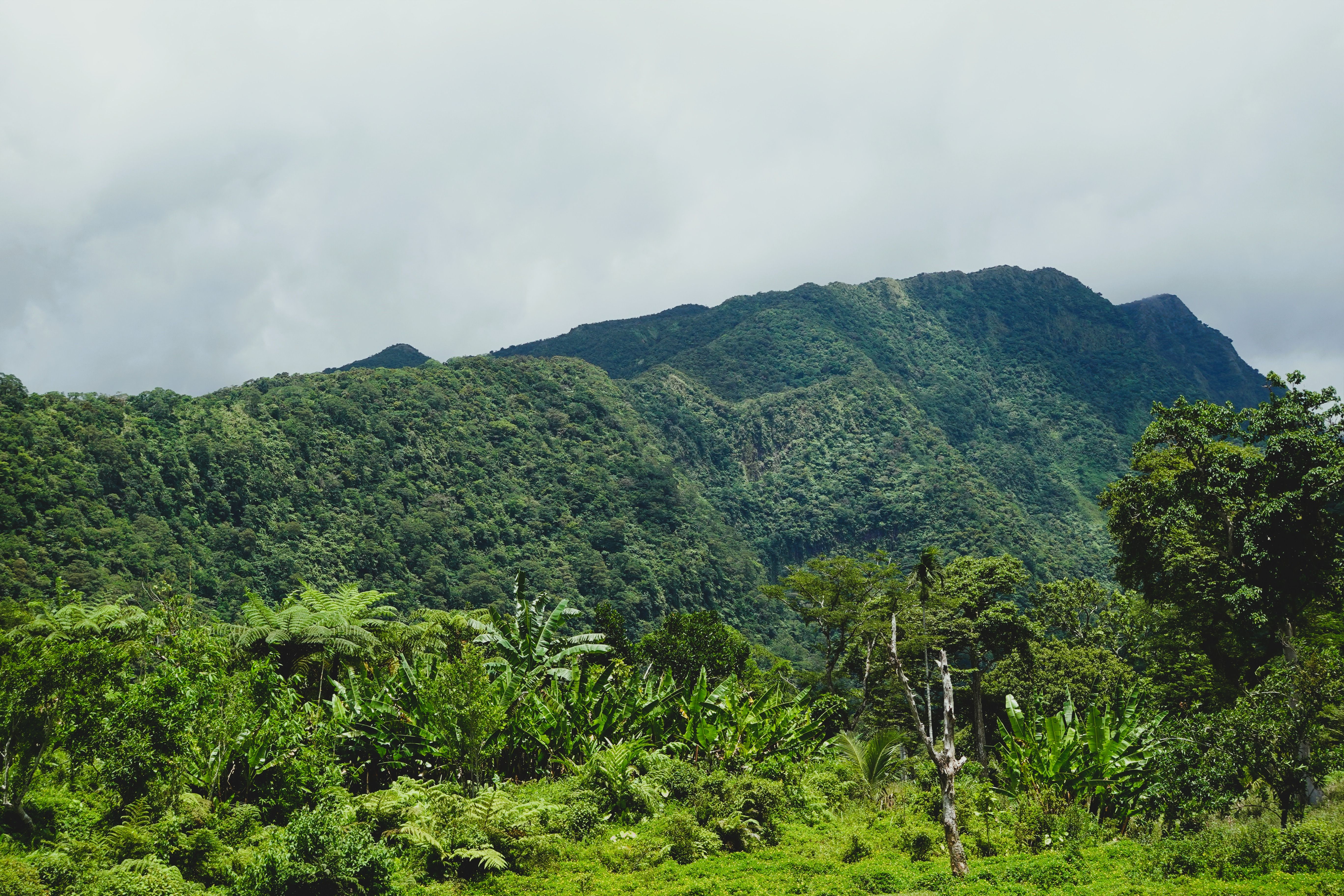 Talampas+Ng+Pilipinas Photos, Download The BEST Free Talampas+Ng ...