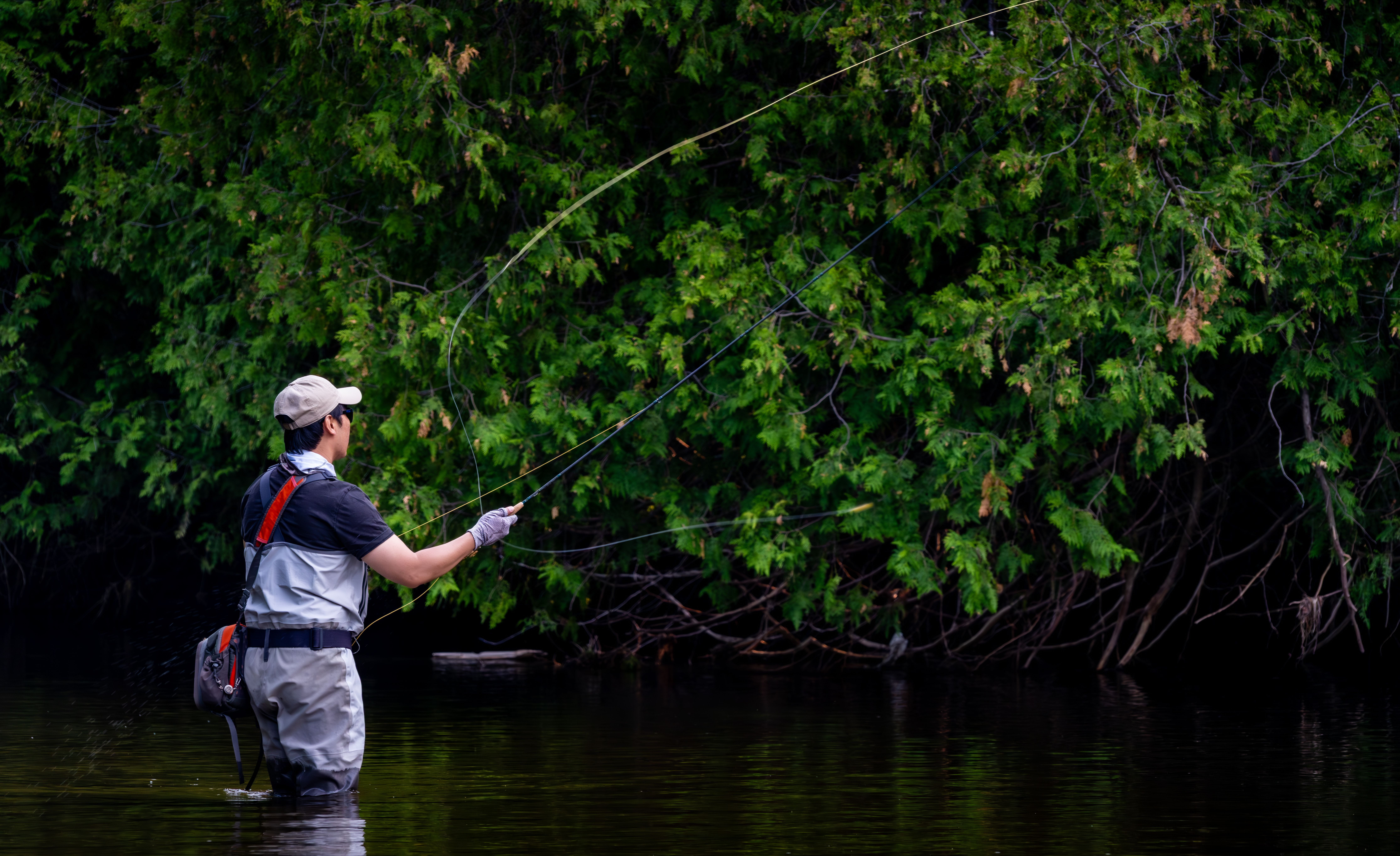 Man Fly Fishing in a River Surrounded by Lush Green Forest · Free Stock ...