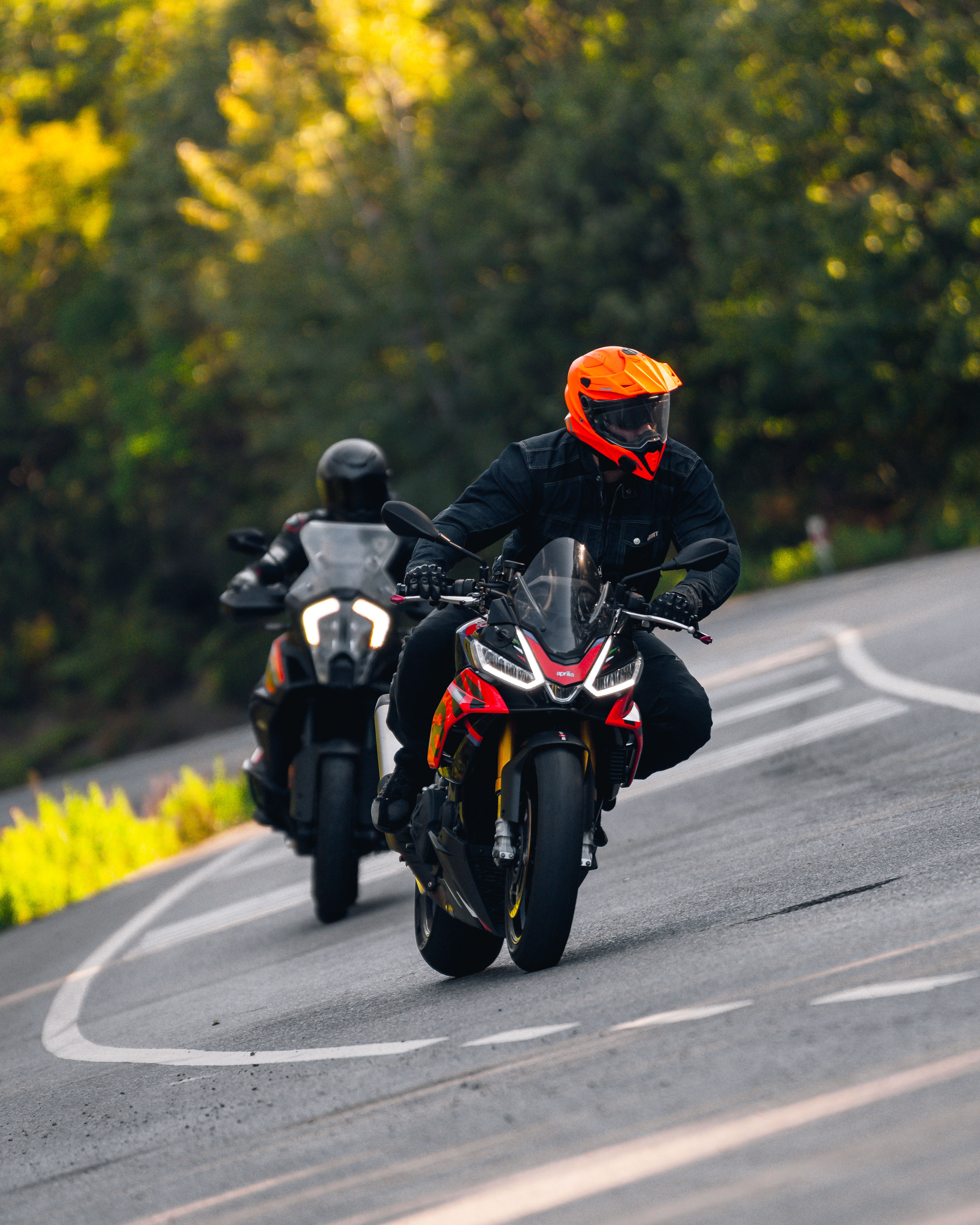 Motorcyclists on Winding Forest Road Adventure · Free Stock Photo