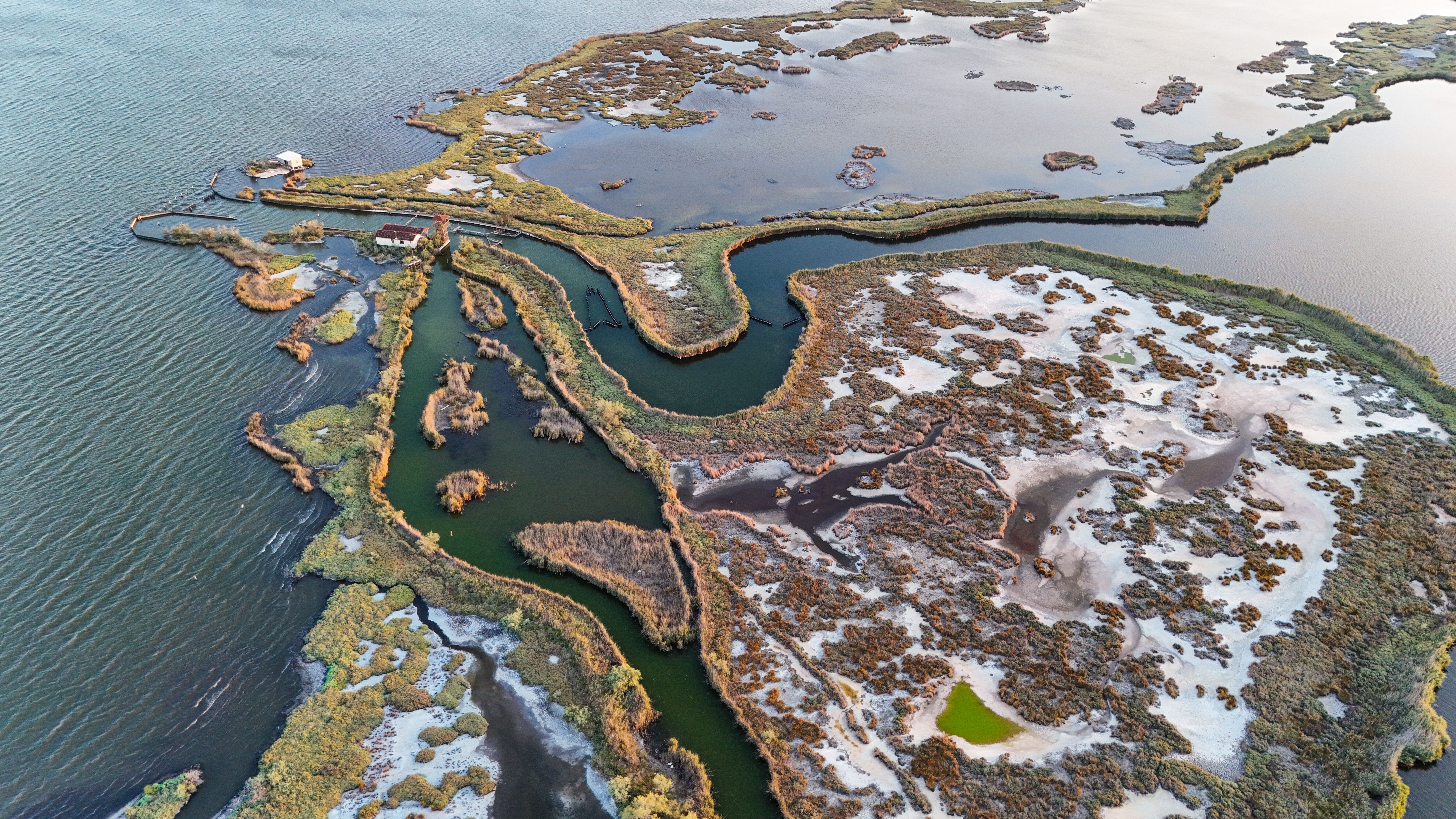 Aerial View of Coastal Wetlands in Greece · Free Stock Photo