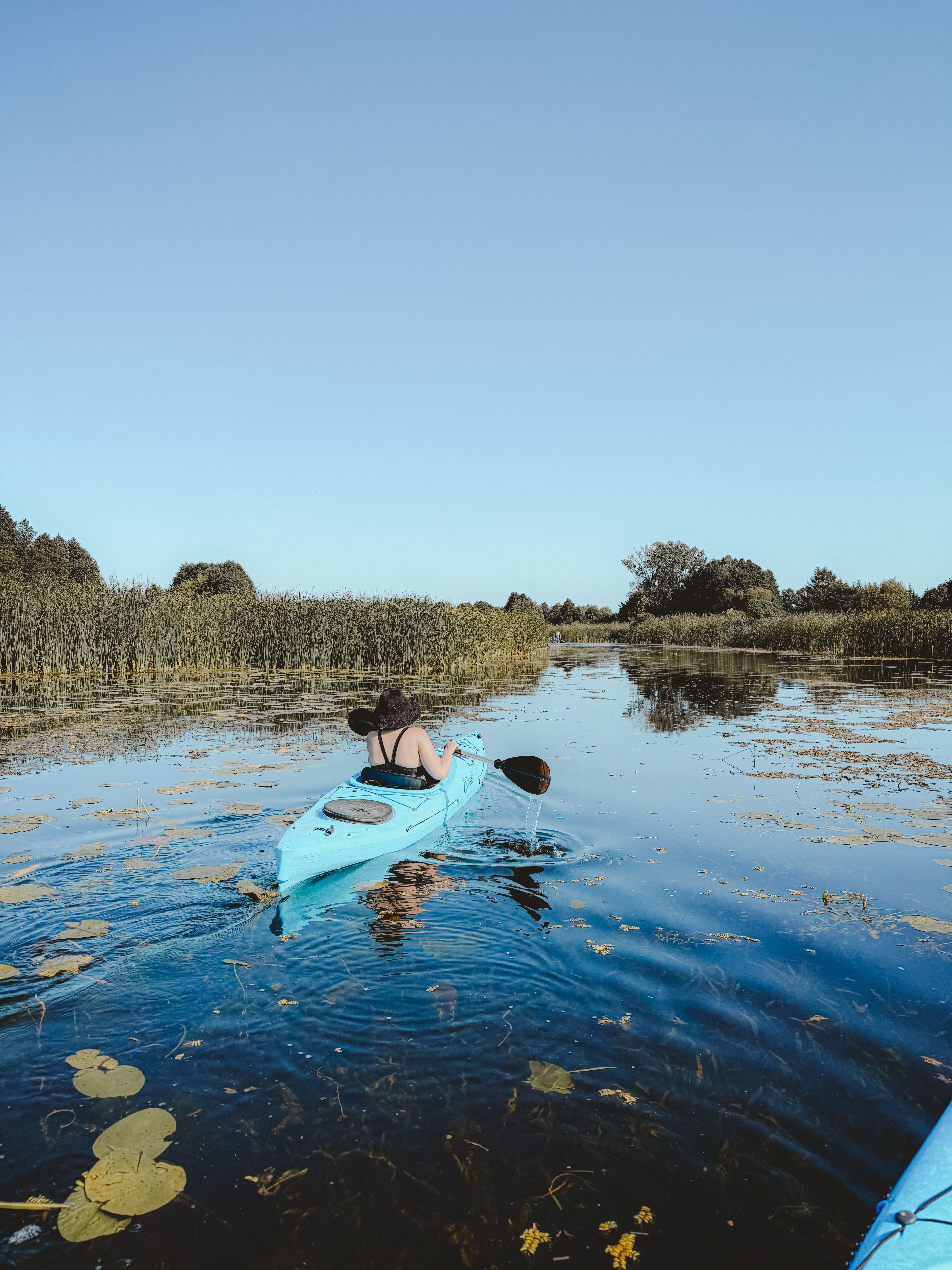 Kayaking Adventure in Scenic Polish Wetlands · Free Stock Photo