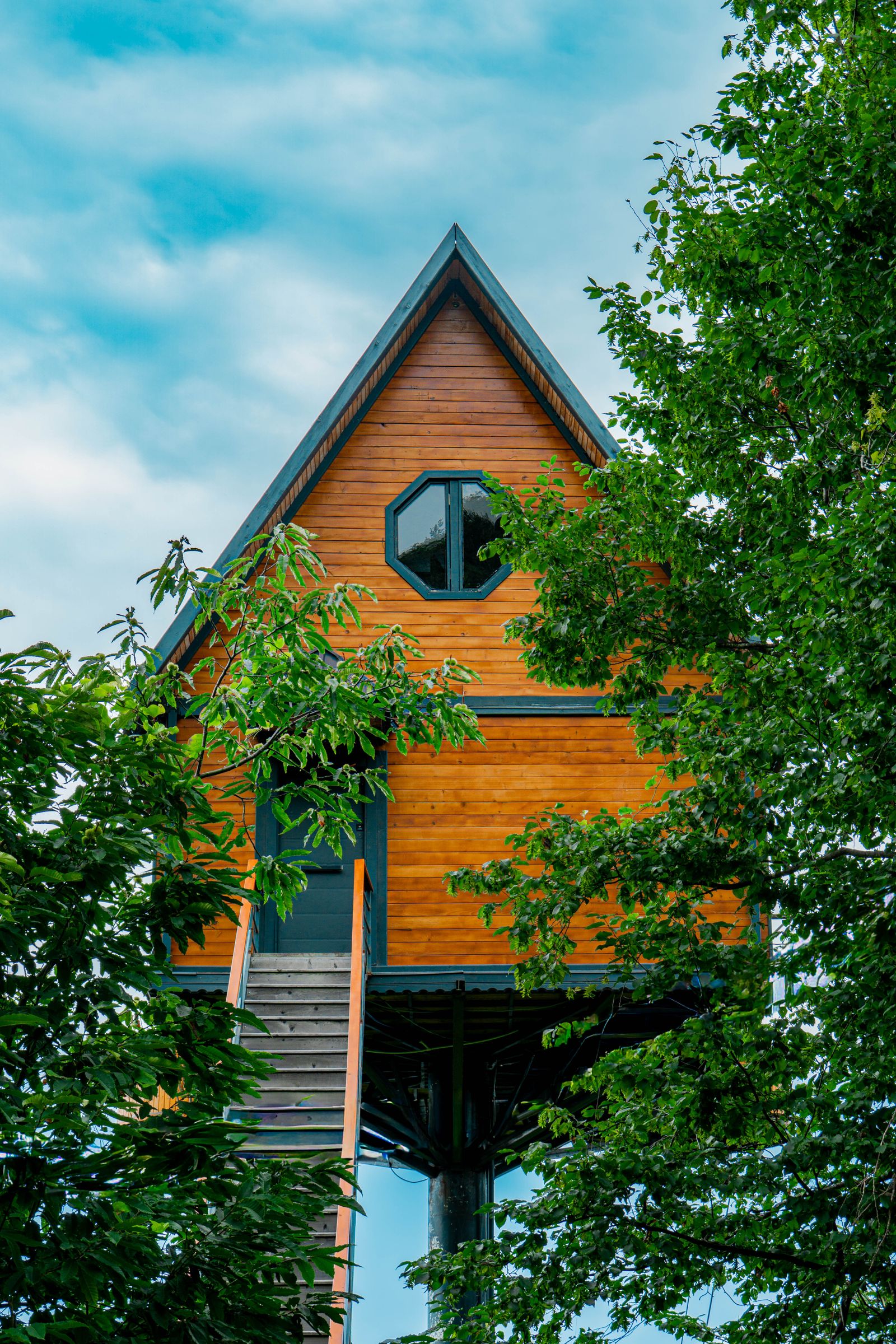 Tree House Photos, Download The BEST Free Tree House Stock Photos & HD ...
