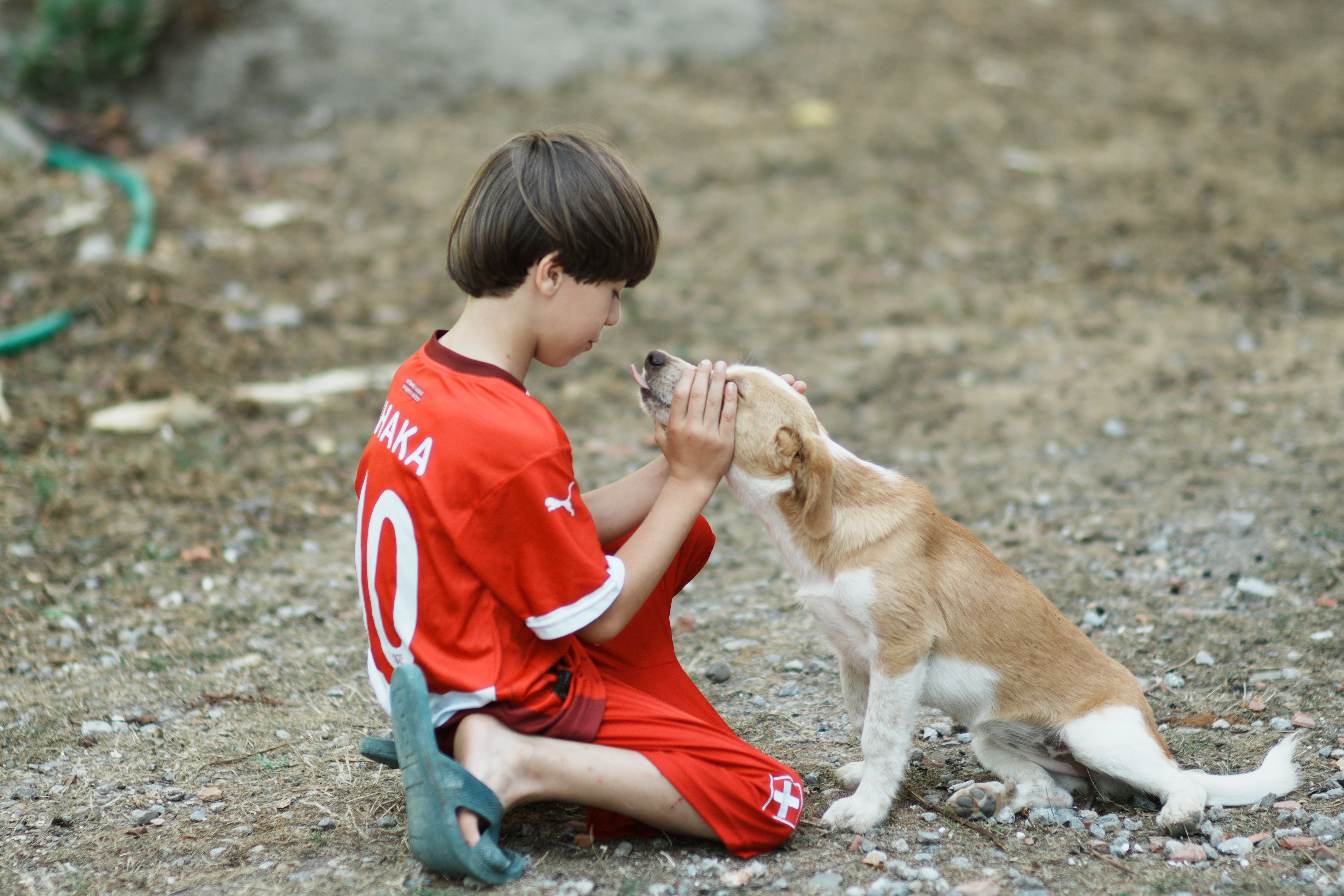 Puppy Boy Photos, Download The BEST Free Puppy Boy Stock Photos & HD Images