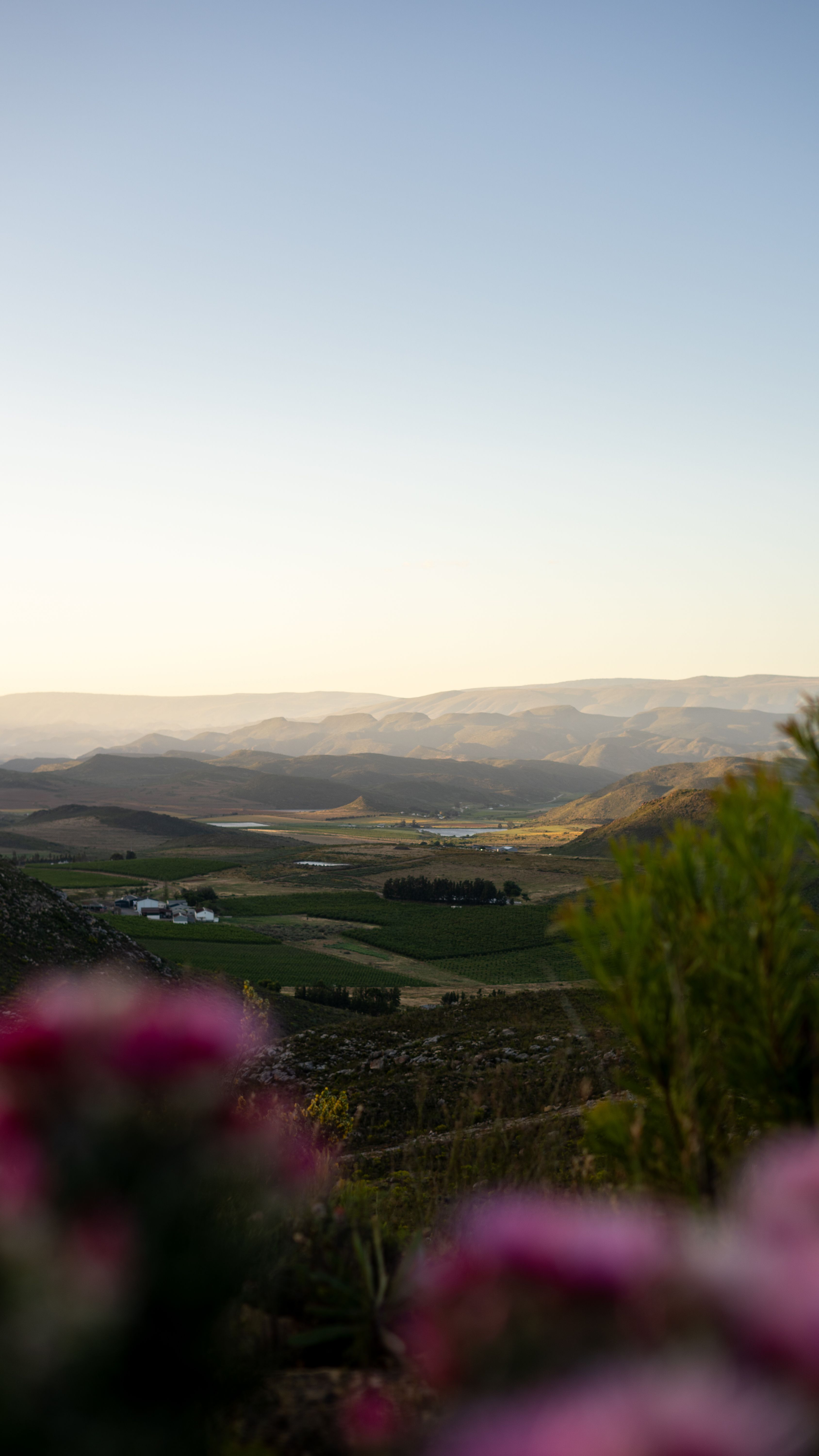 20,000+ Best Beautiful Scenery Photos · 100% Free Download · Pexels ...