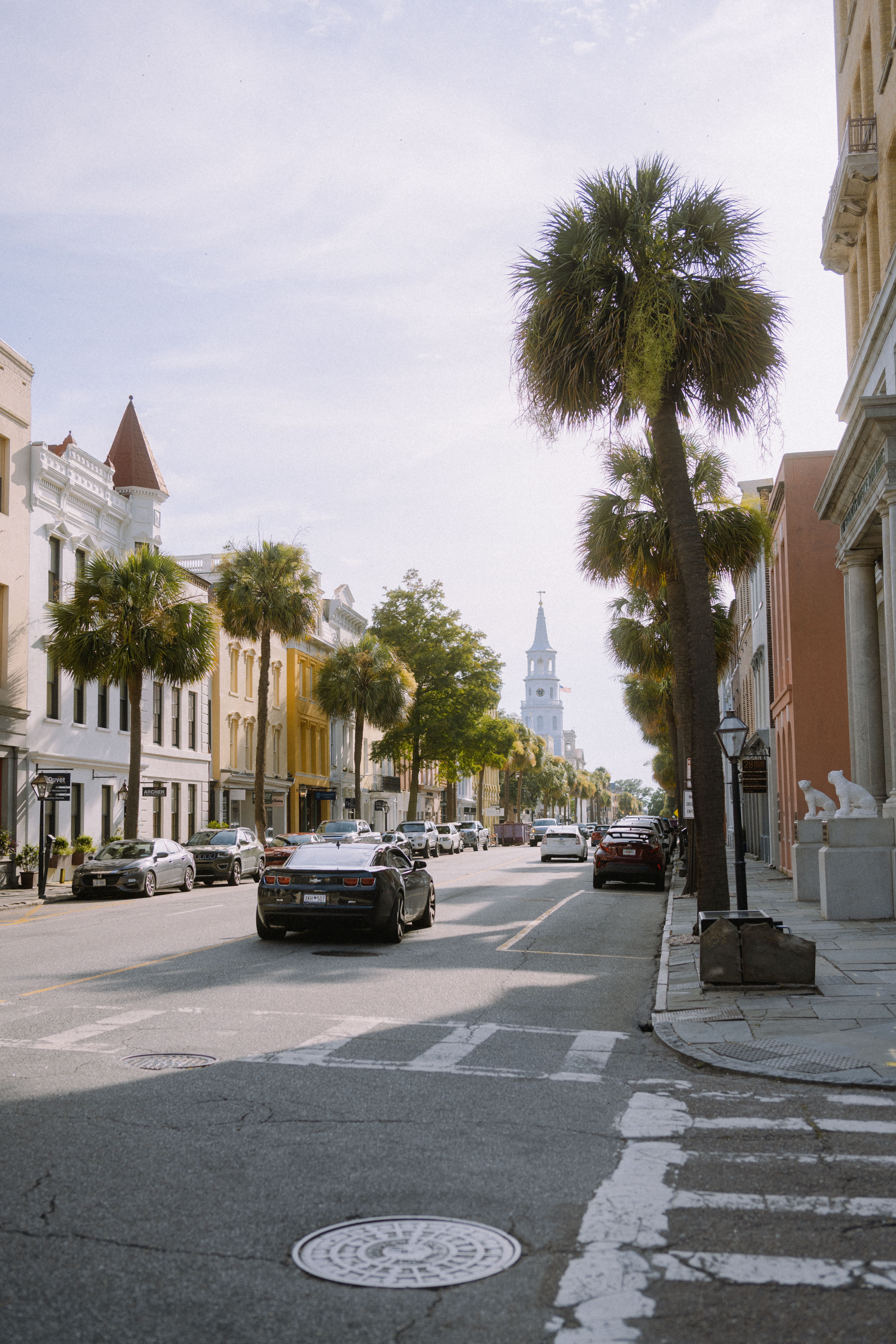 Historic Charleston Street with Palms and Cars · Free Stock Photo