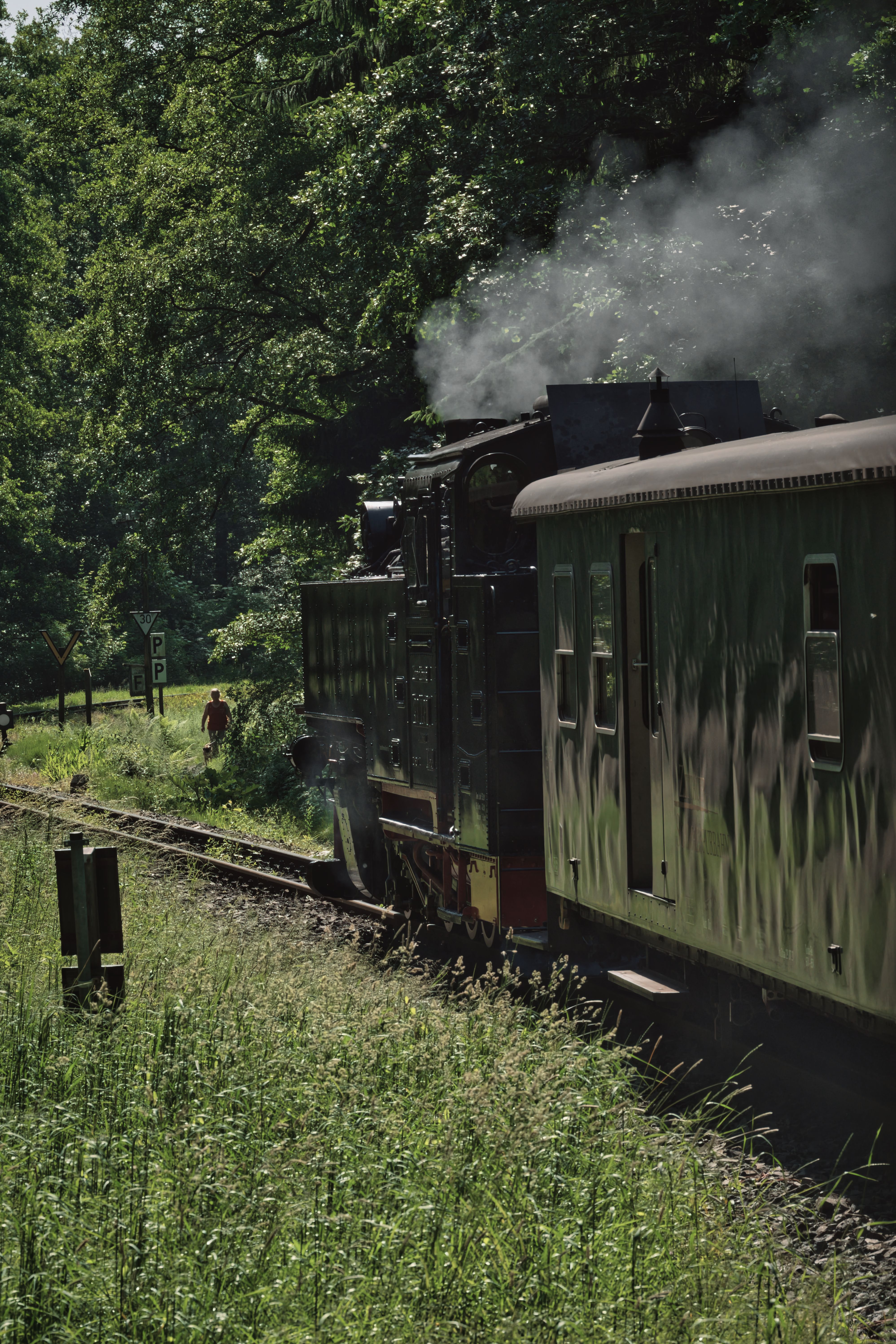 Train on Railway Riding Through a Forest · Free Stock Photo