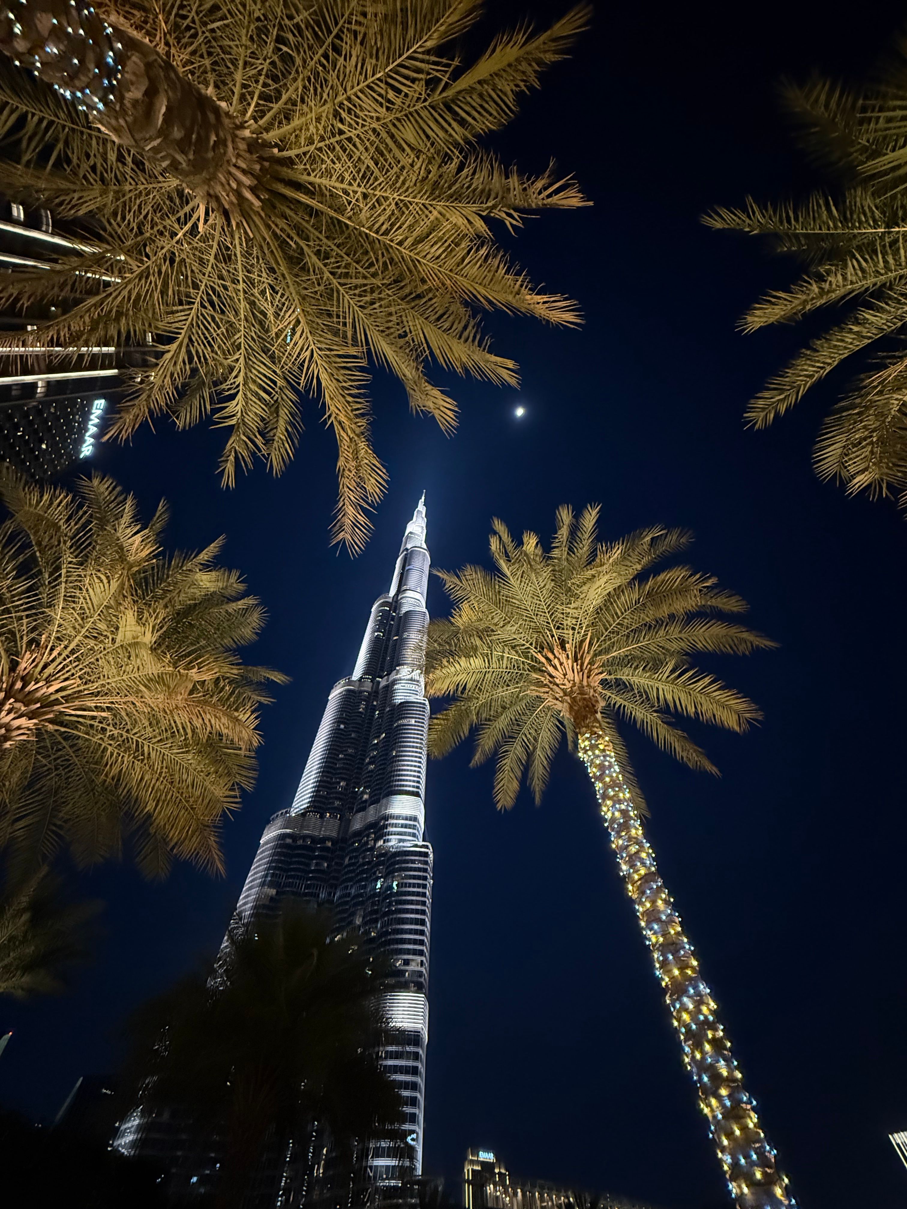 Burj Khalifa and Palm Trees at Night in Dubai · Free Stock Photo