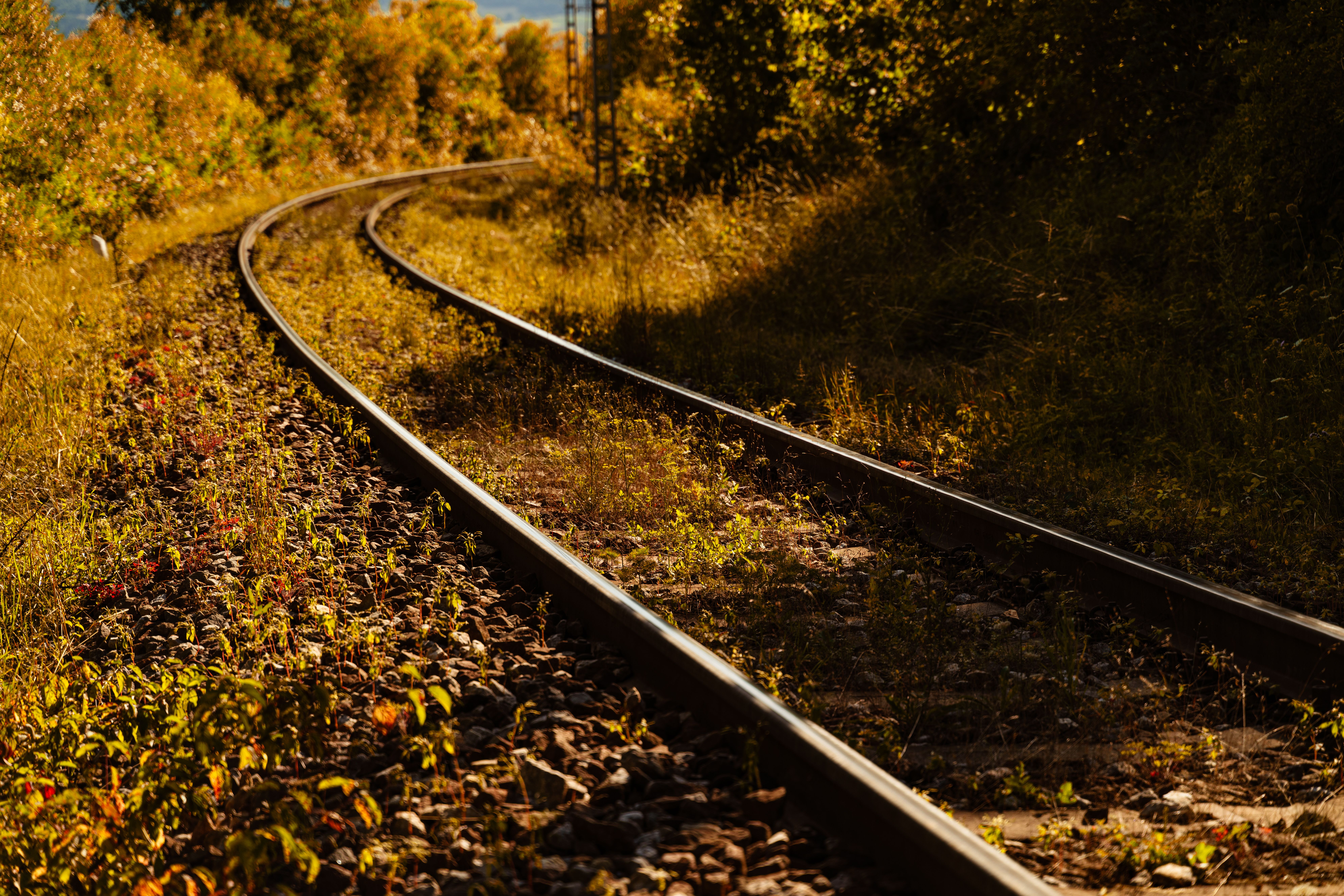 Scenic Railroad Track in Autumn Forest · Free Stock Photo