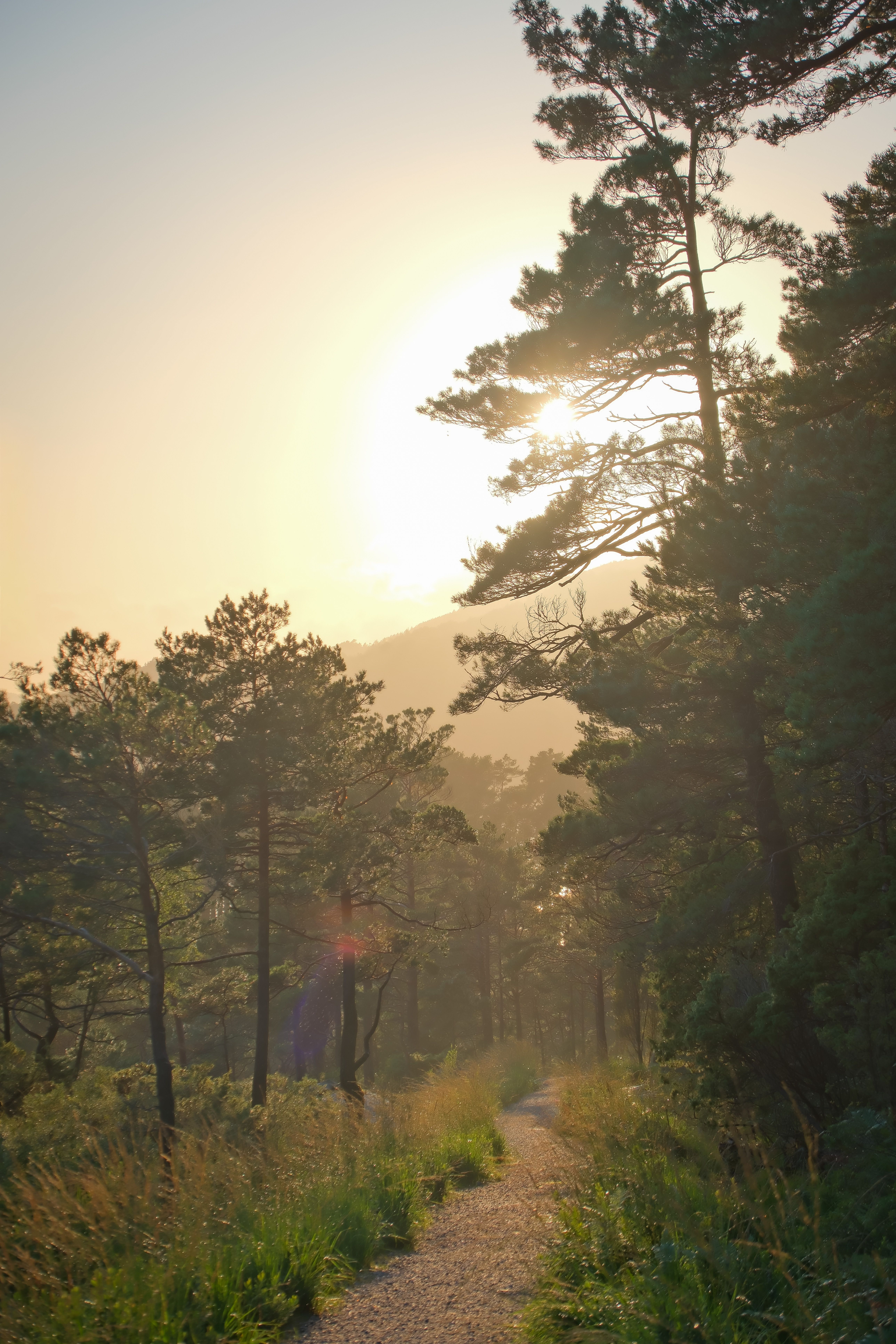 Edit in Canva