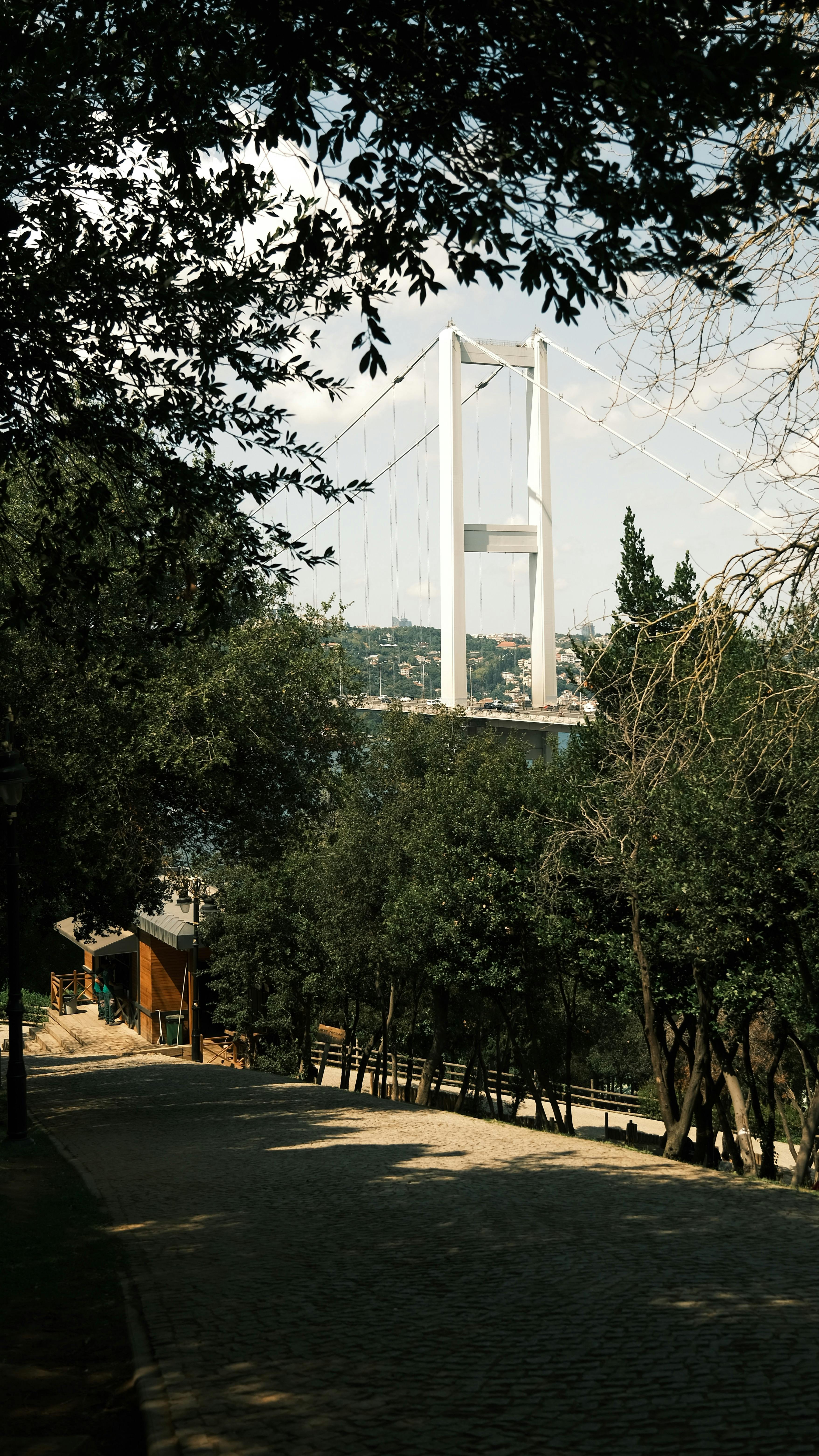 Civil Engineering Forest Photos, Download The BEST Free Civil ...