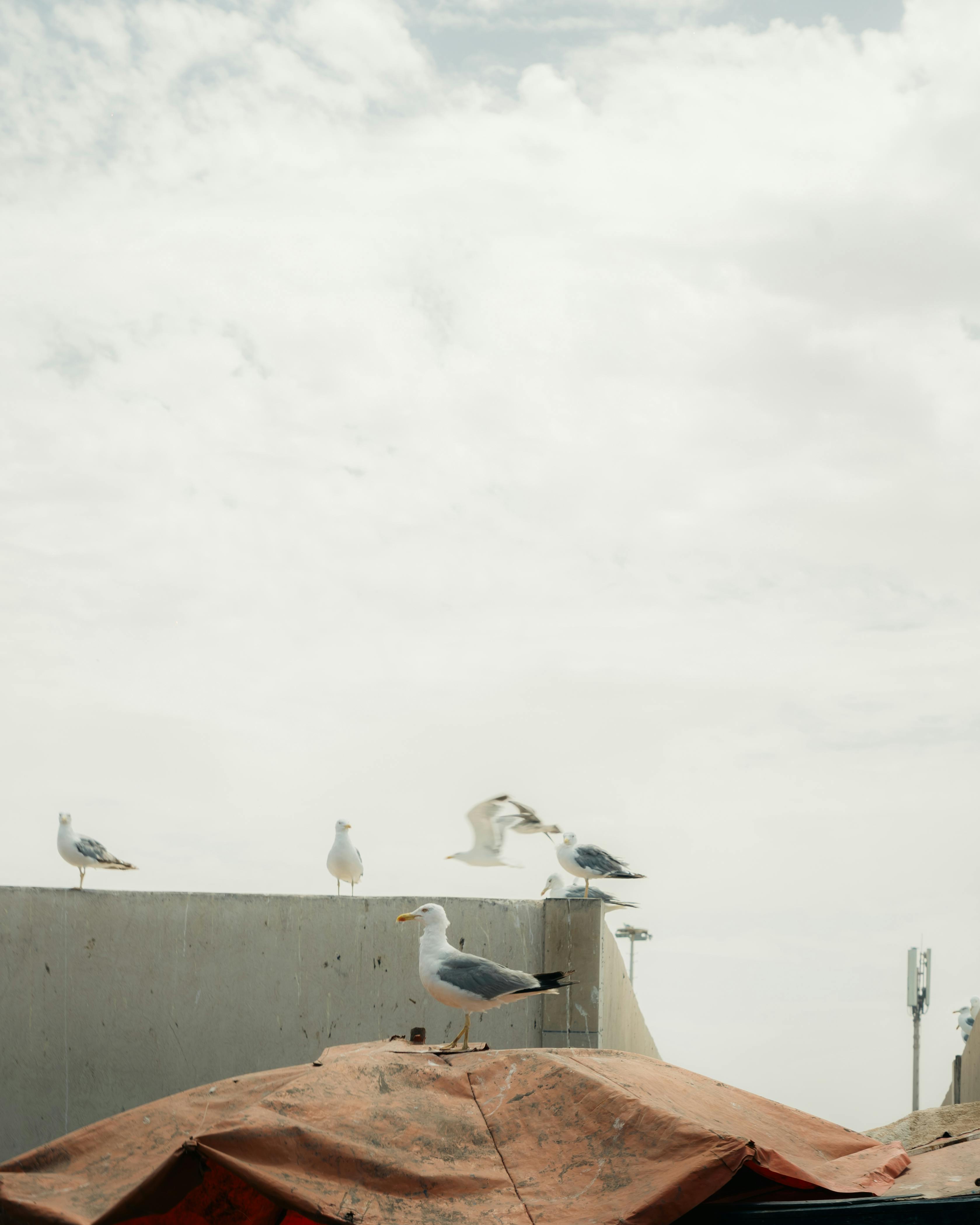 Free Png Photos, Download The BEST Free Free Png Stock Photos & HD Images