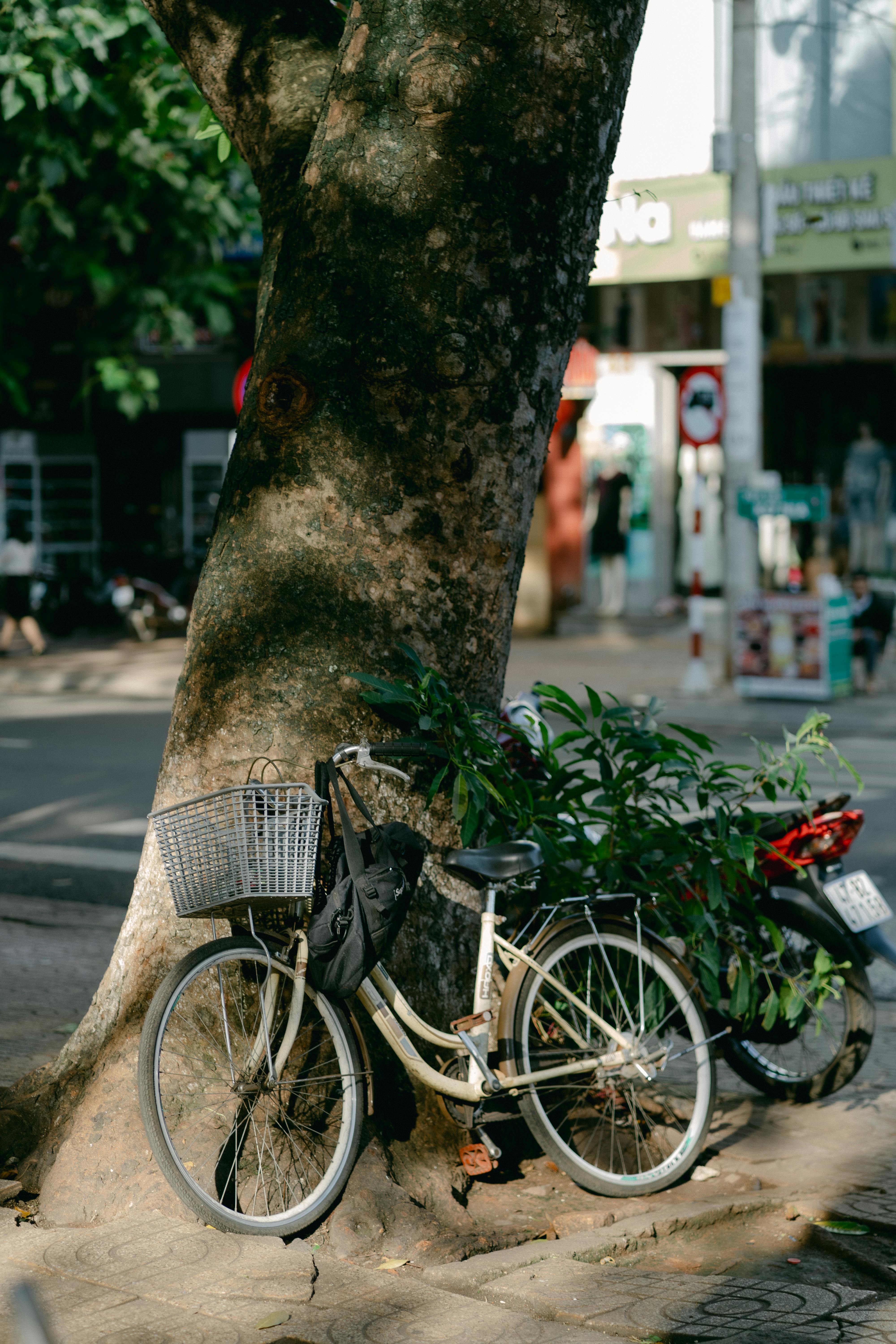 Reap What You Sow: The Harsh Truth of Deserved Outcomes - Investment ...