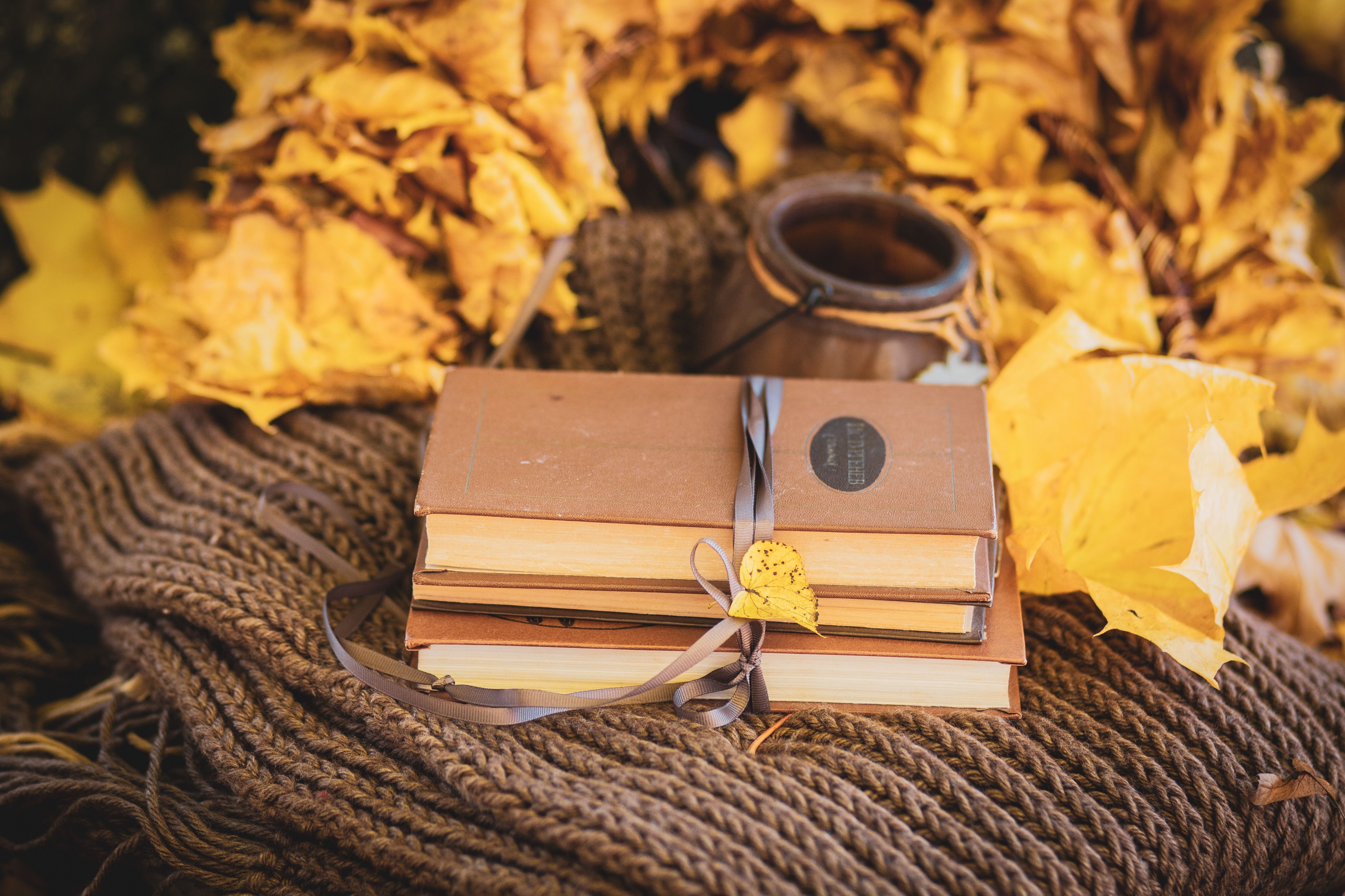 Cozy Autumn Setting with Books and Leaves · Free Stock Photo