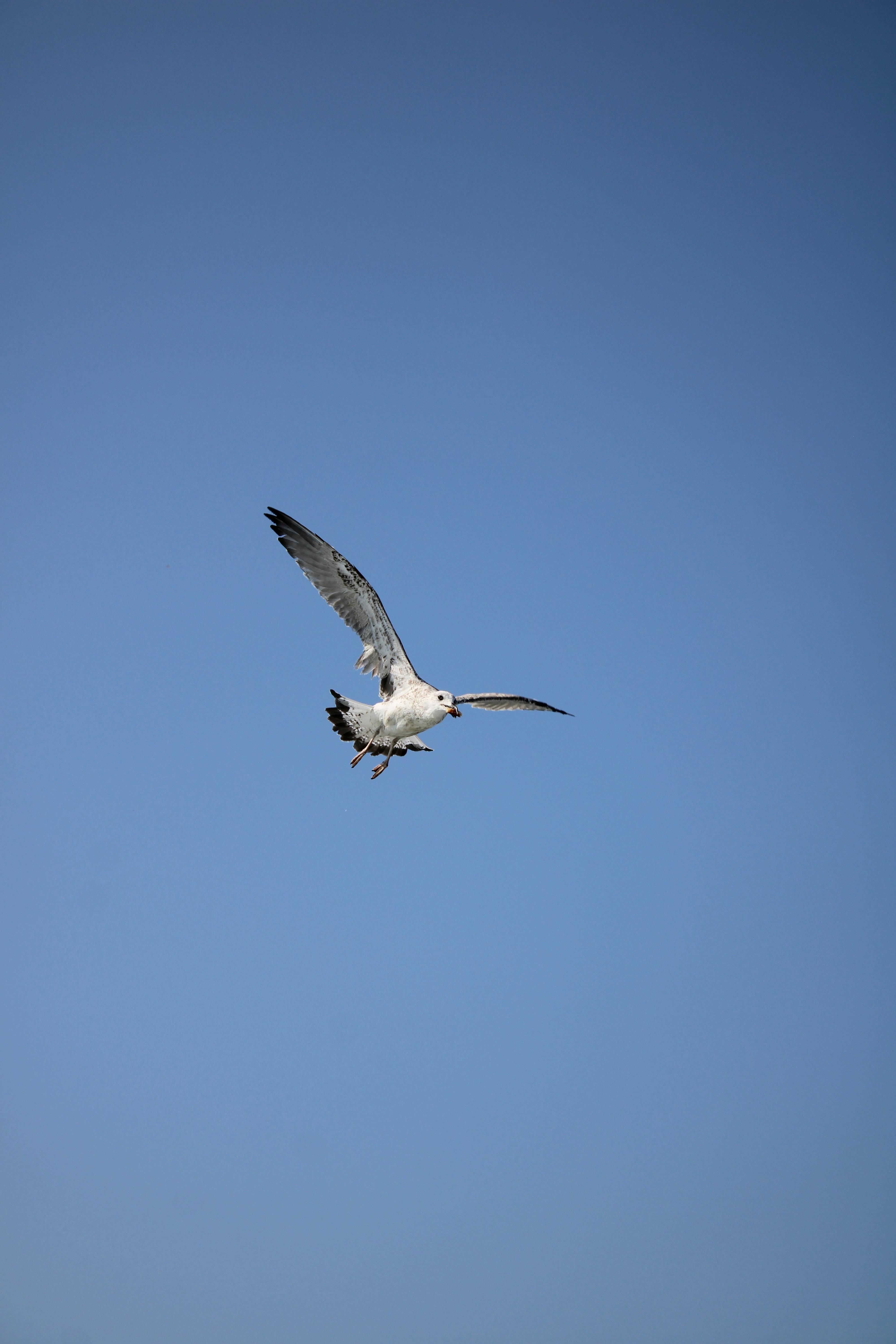 Esma AK - Photography