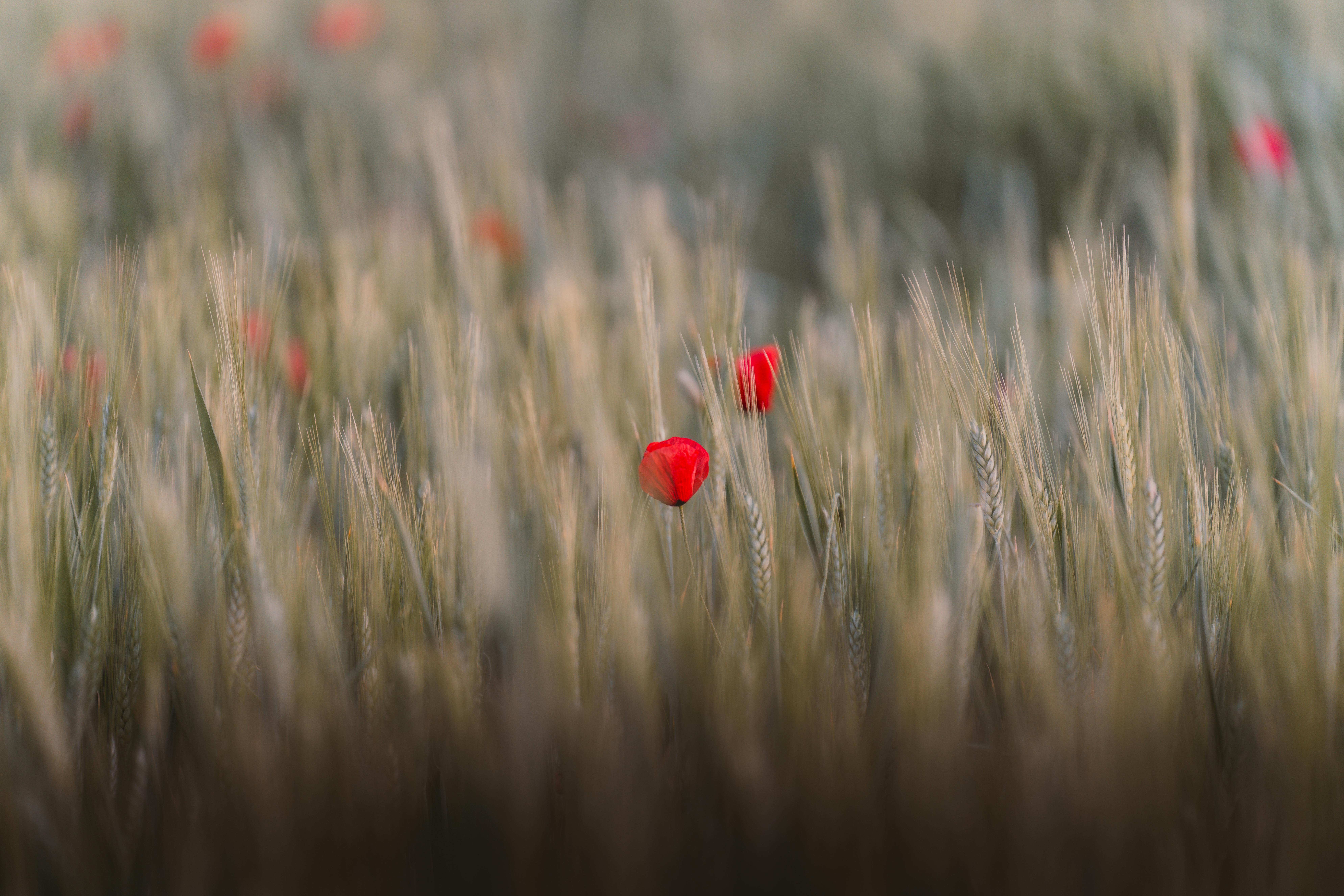 Depth Wallpaper 4k Photos, Download The BEST Free Depth Wallpaper 4k ...