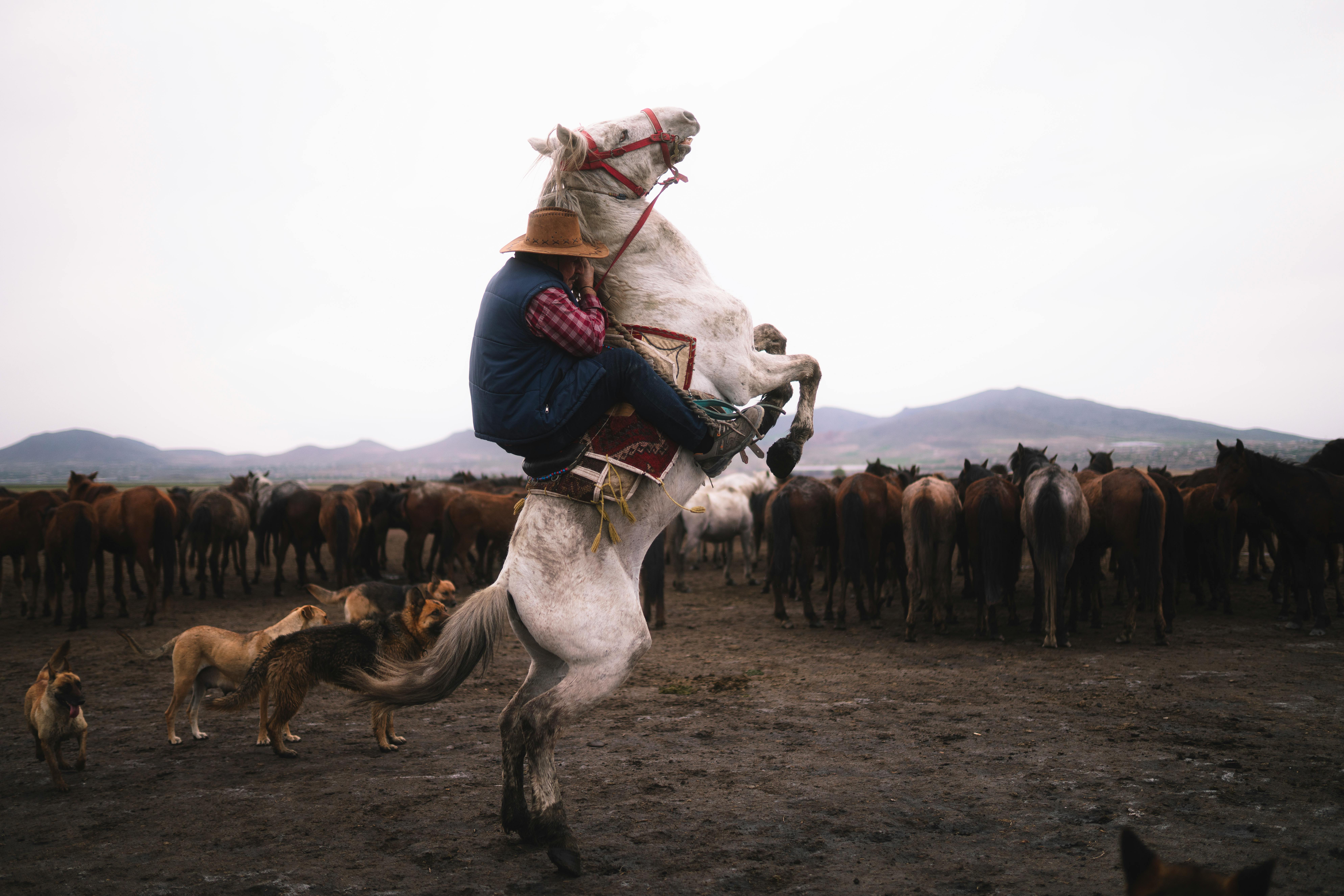 Women+Landing+Strips Photos, Download The BEST Free Women+Landing ...