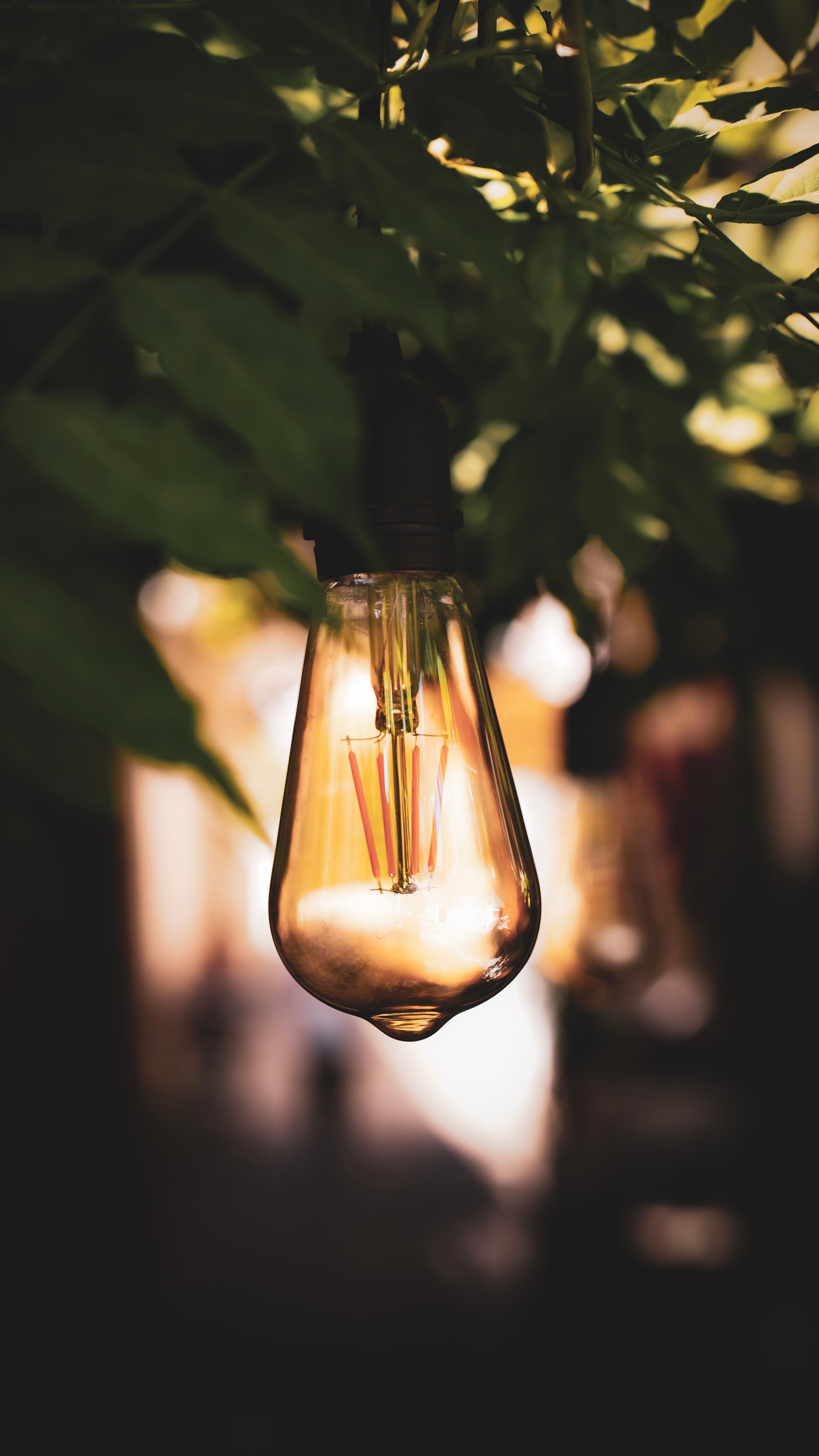 Turned-on Light Bulb · Free Stock Photo
