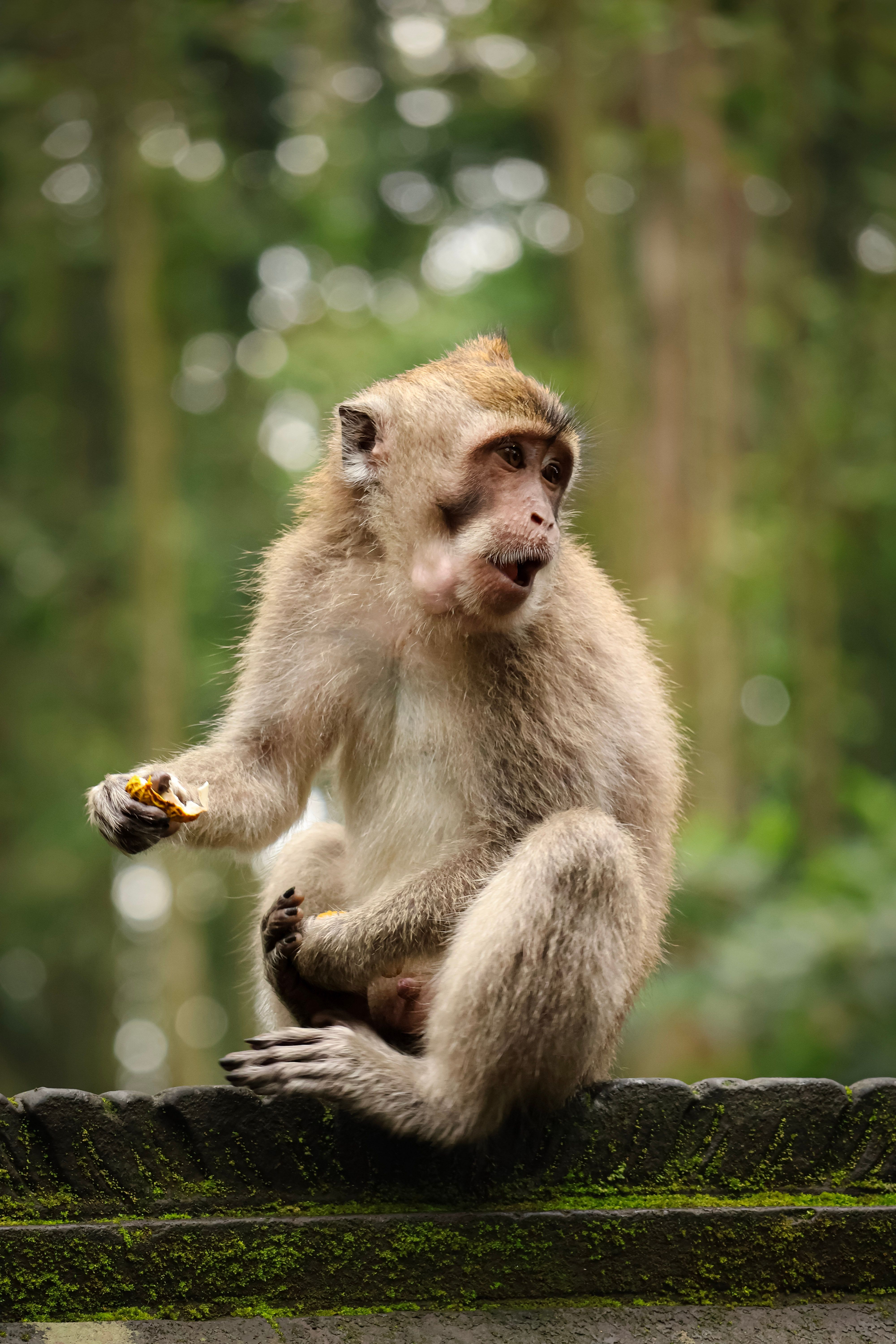 Bennybbc+Monkeyapp+Bunkr Photos, Download The BEST Free Bennybbc ...