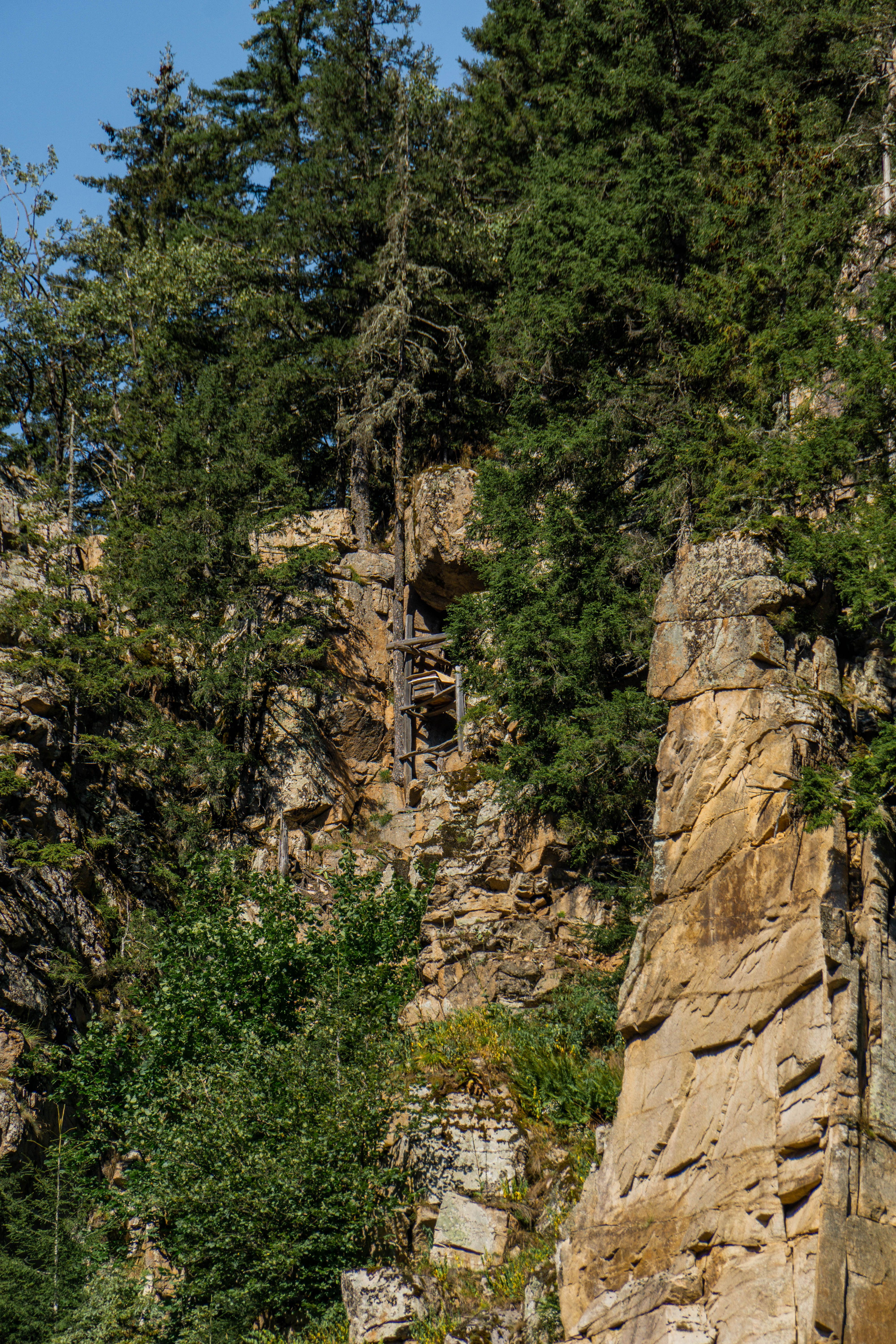 Rustic Mountain Mine Entrance in Dense Forest · Free Stock Photo