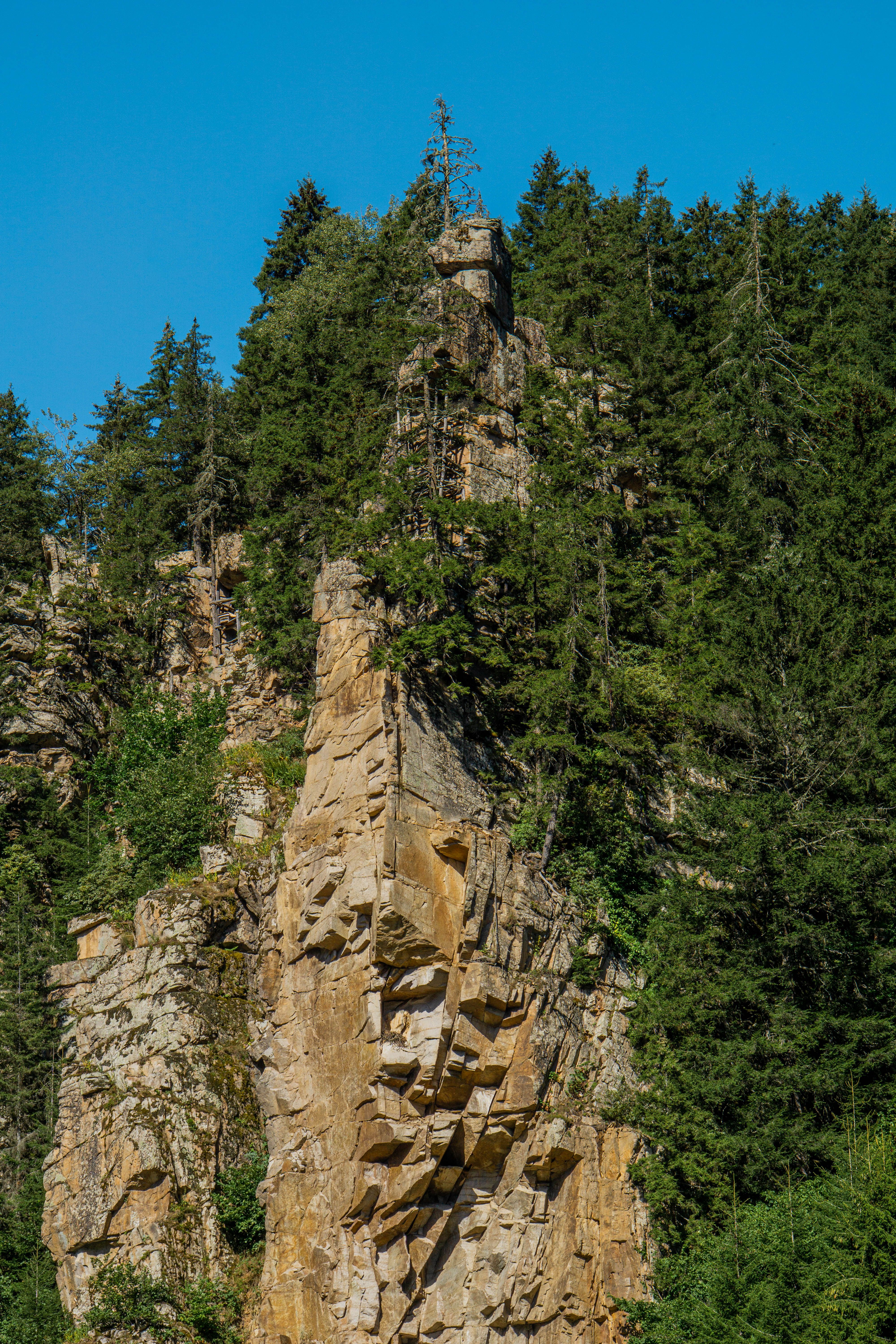 Stunning Cliffside with Evergreen Trees Under Blue Sky · Free Stock Photo