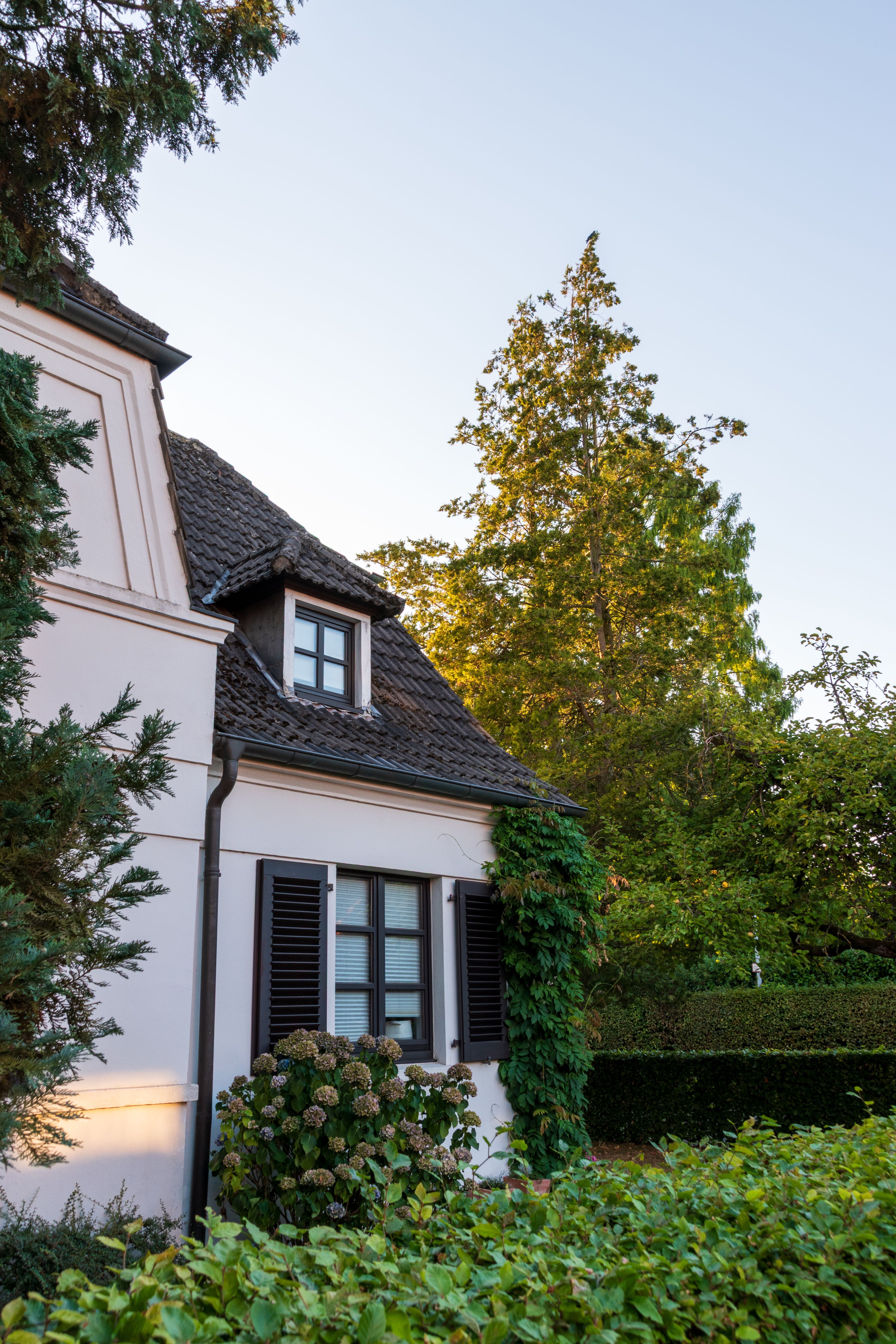 Charming Cottage with Lush Garden and Sunset · Free Stock Photo