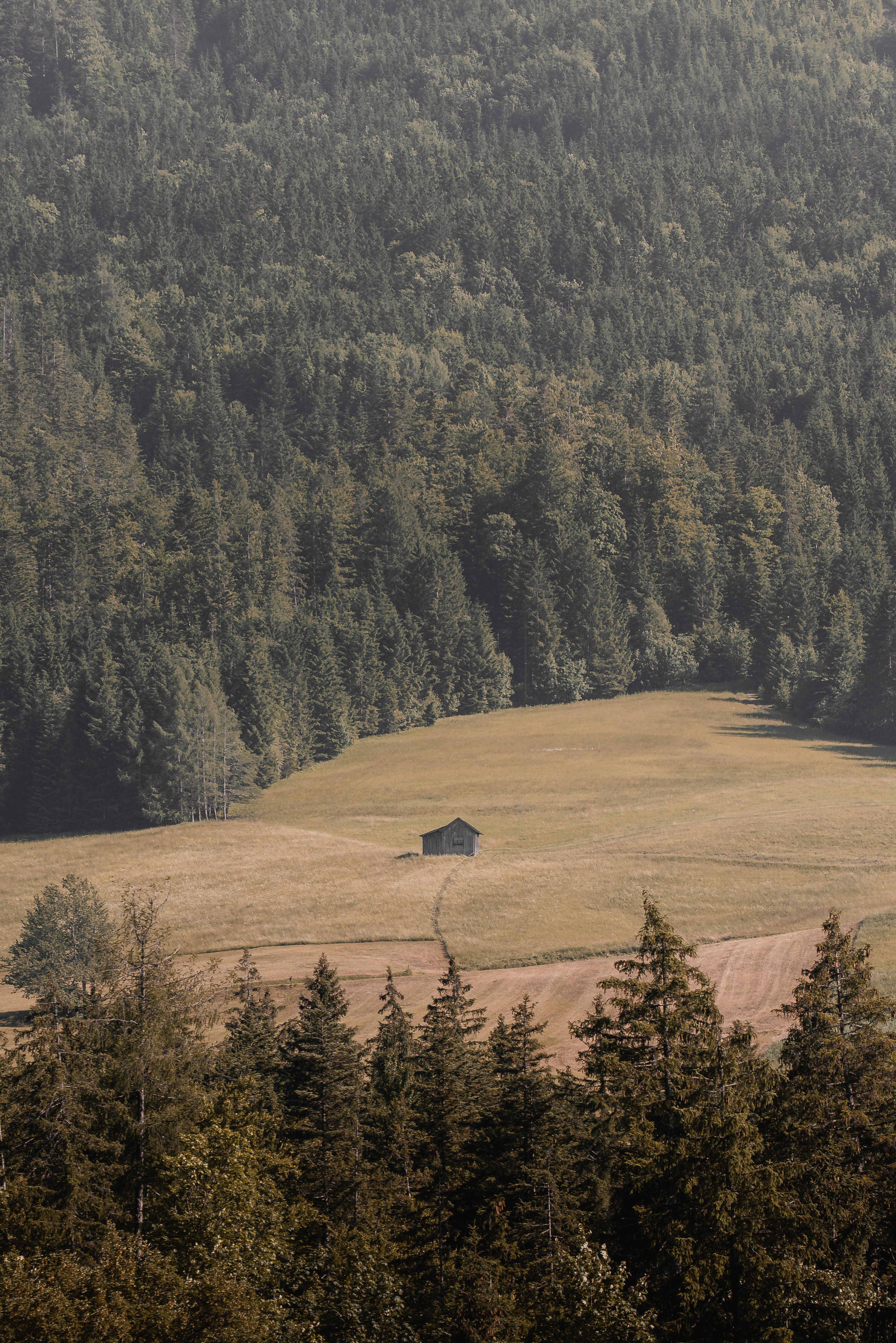 4k Wallpaper Wooded Farmland Photos, Download The BEST Free 4k ...