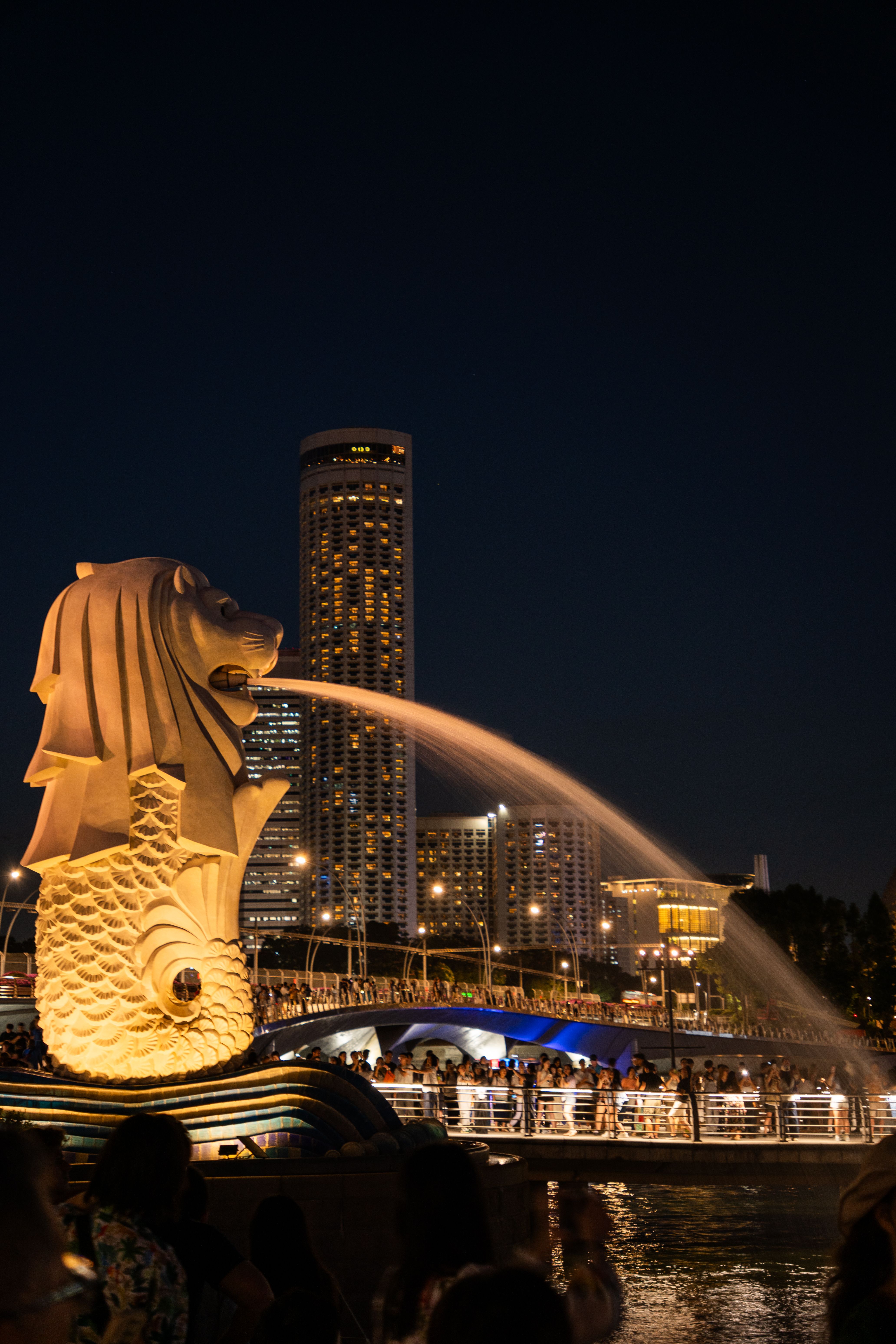 Iconic Merlion Statue Illuminated at Night · Free Stock Photo