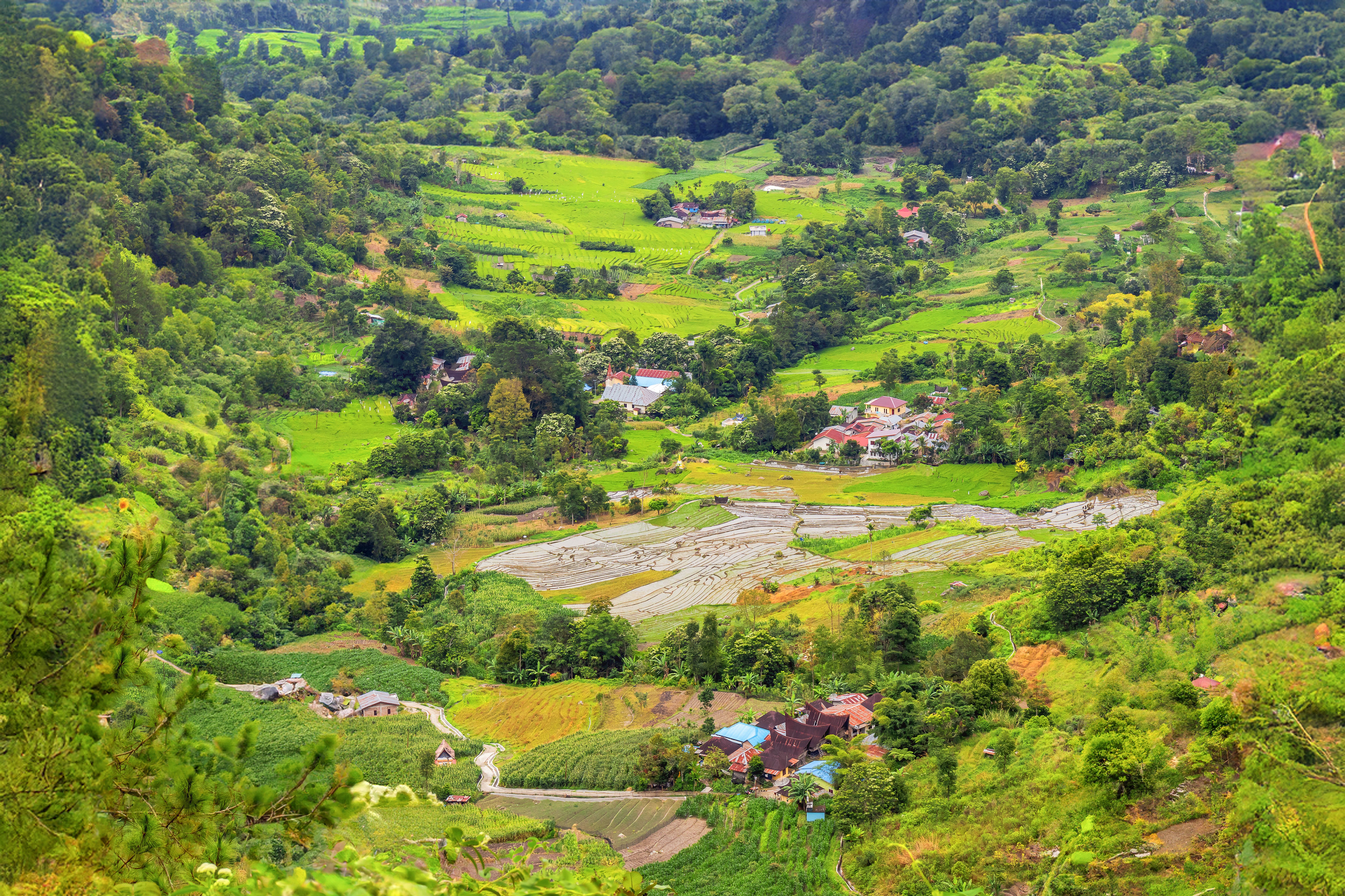 Lush Green Tropical Valley Landscape View · Free Stock Photo