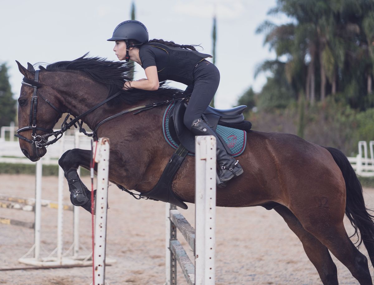 A Guide to Understanding Types of Horse Jumps and Obstacles