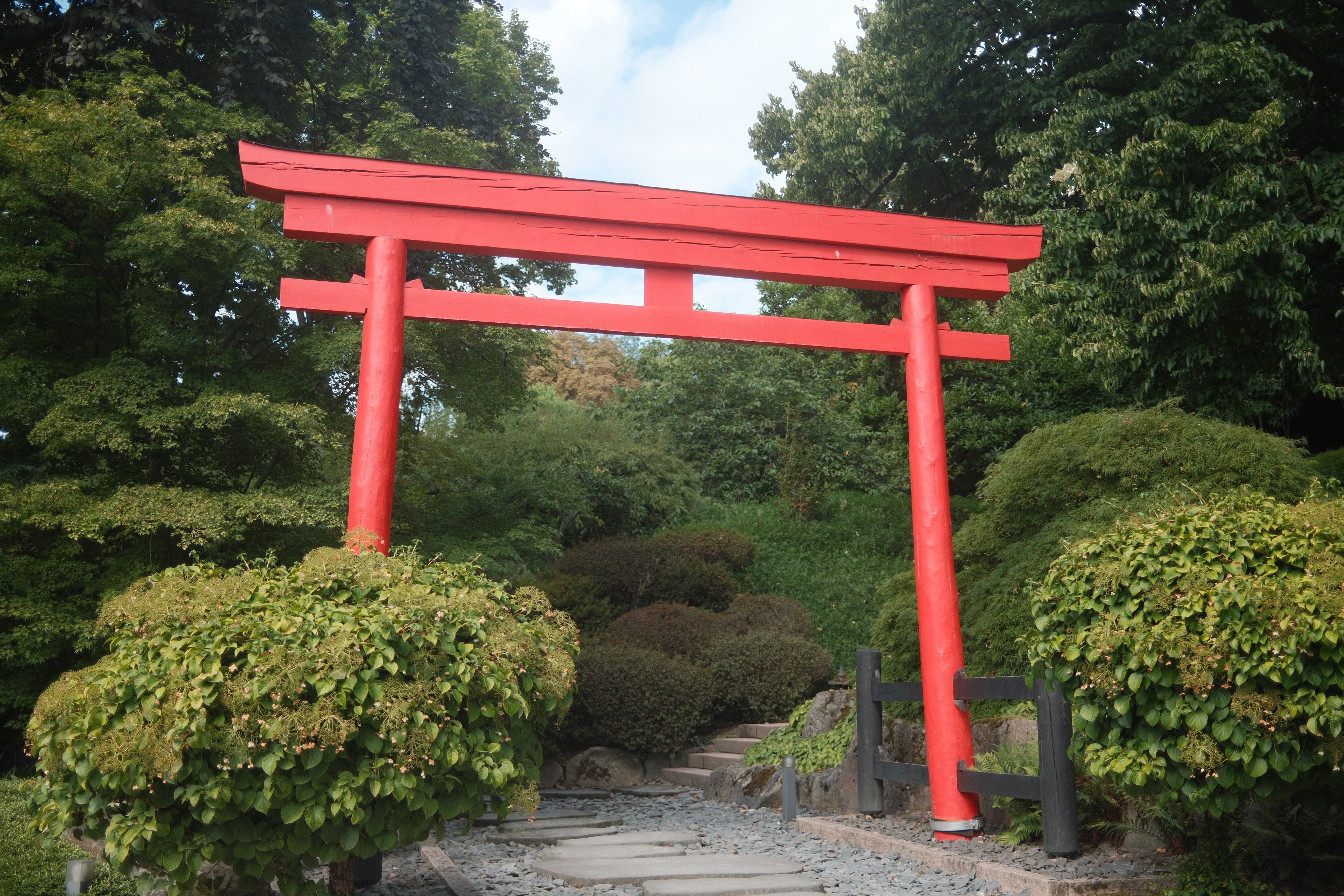 Traditional Japanese Torii Gate in Lush Garden · Free Stock Photo
