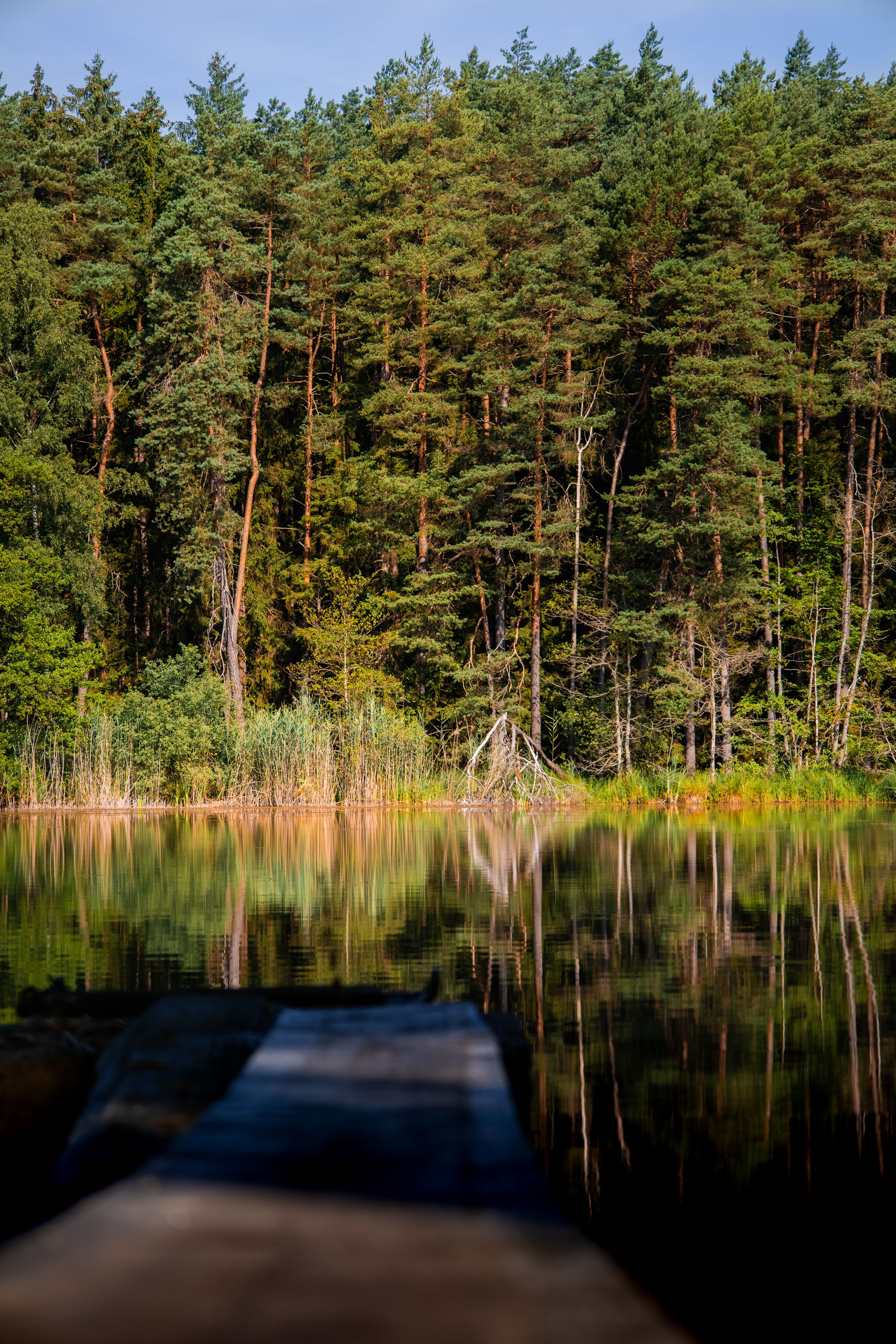 Grass 4k Photos, Download The BEST Free Grass 4k Stock Photos & HD Images