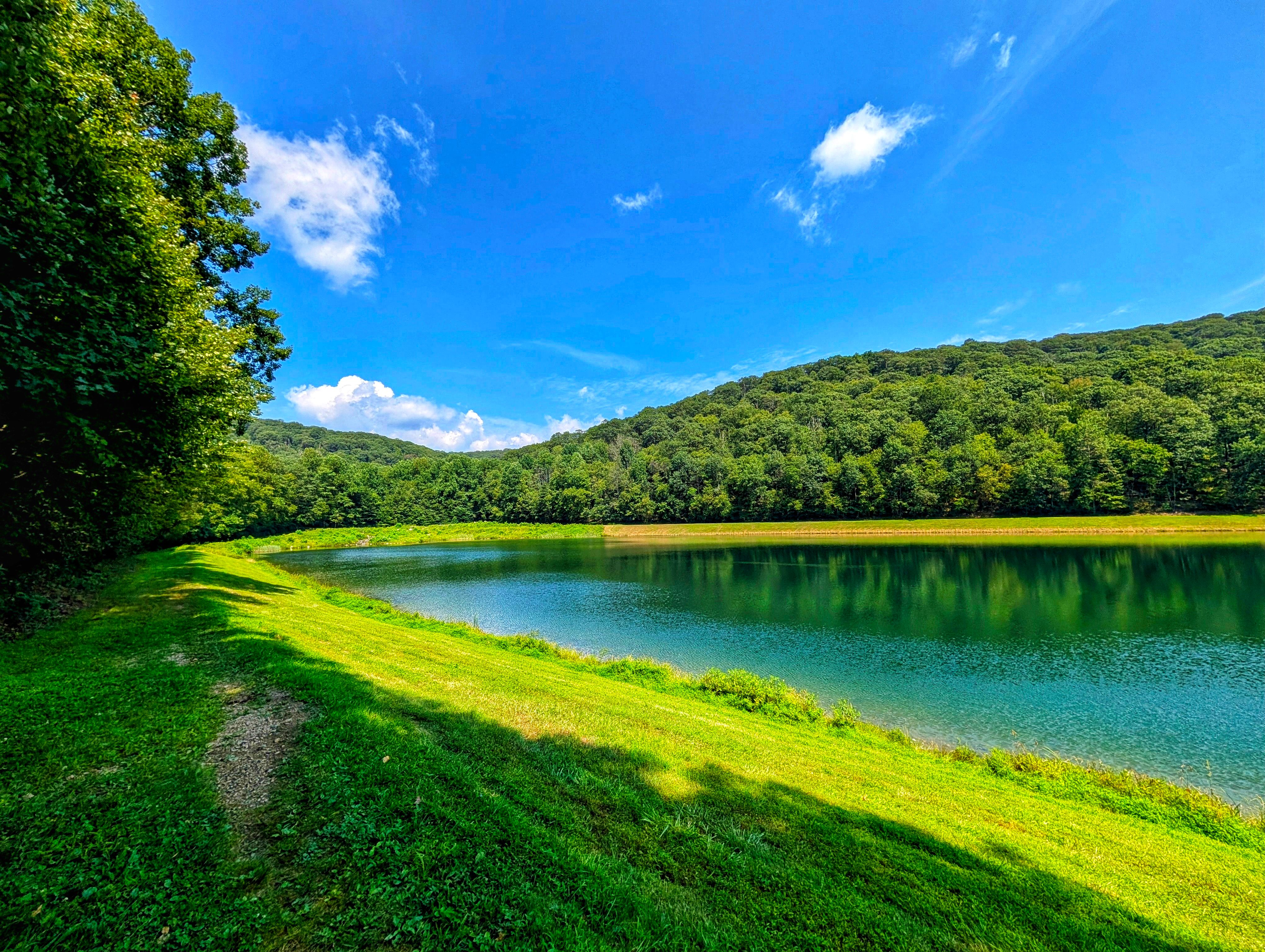 Serene Lake Landscape with Lush Greenery · Free Stock Photo
