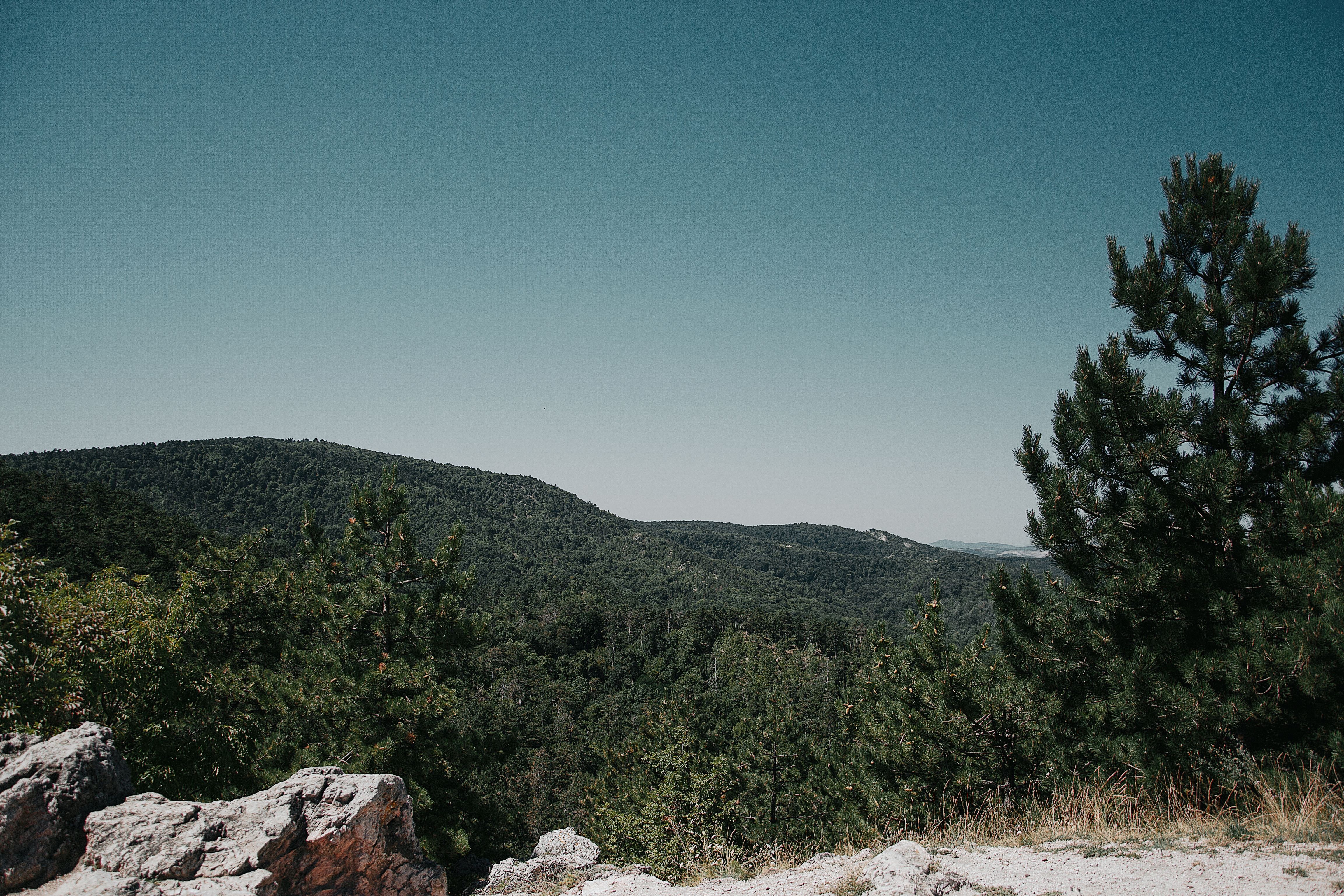 Scenic View of Forested Hills in Hungary · Free Stock Photo
