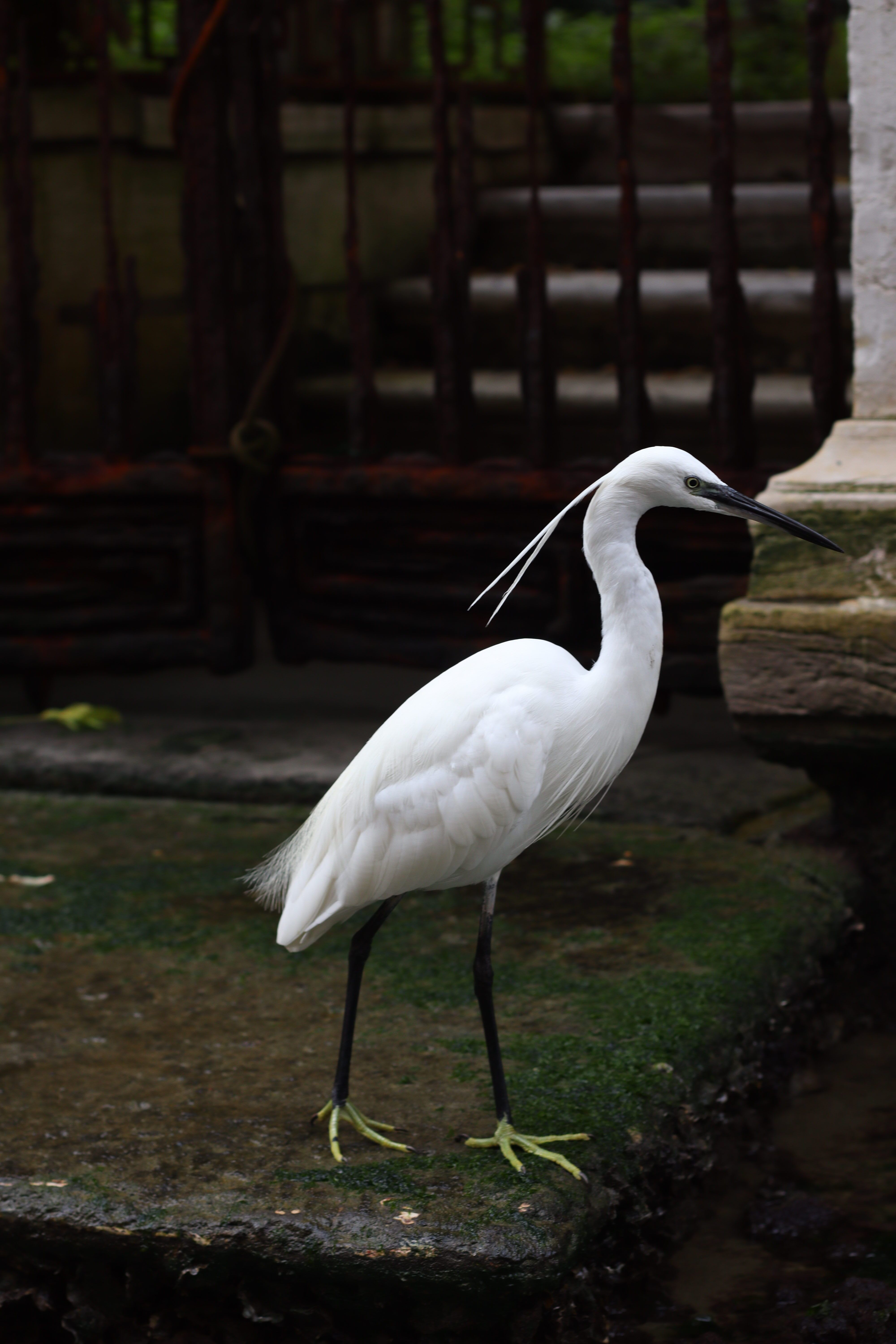 Nature Admire Photos, Download The BEST Free Nature Admire Stock Photos ...