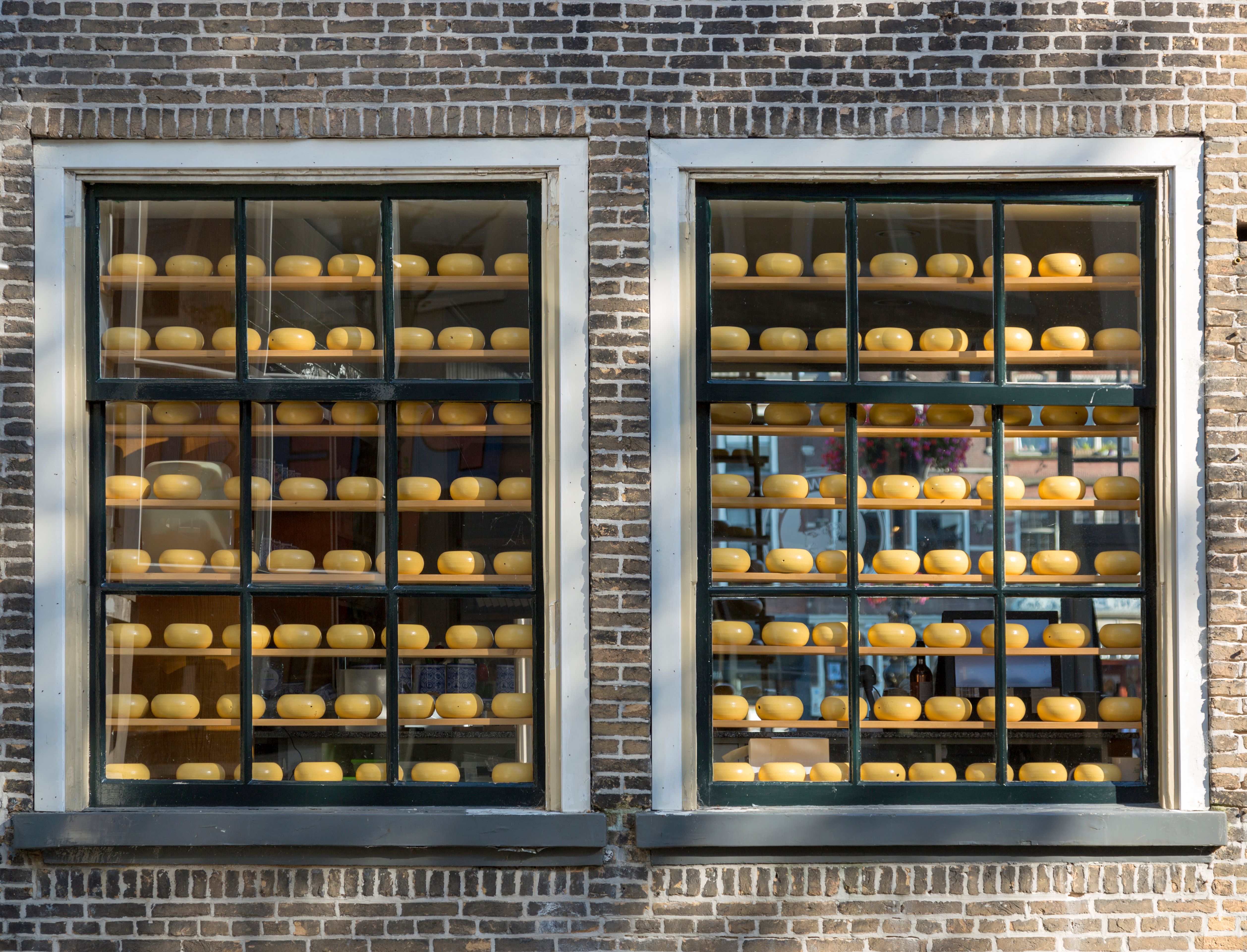 Rows of Cheese Wheels in Storefront Windows · Free Stock Photo