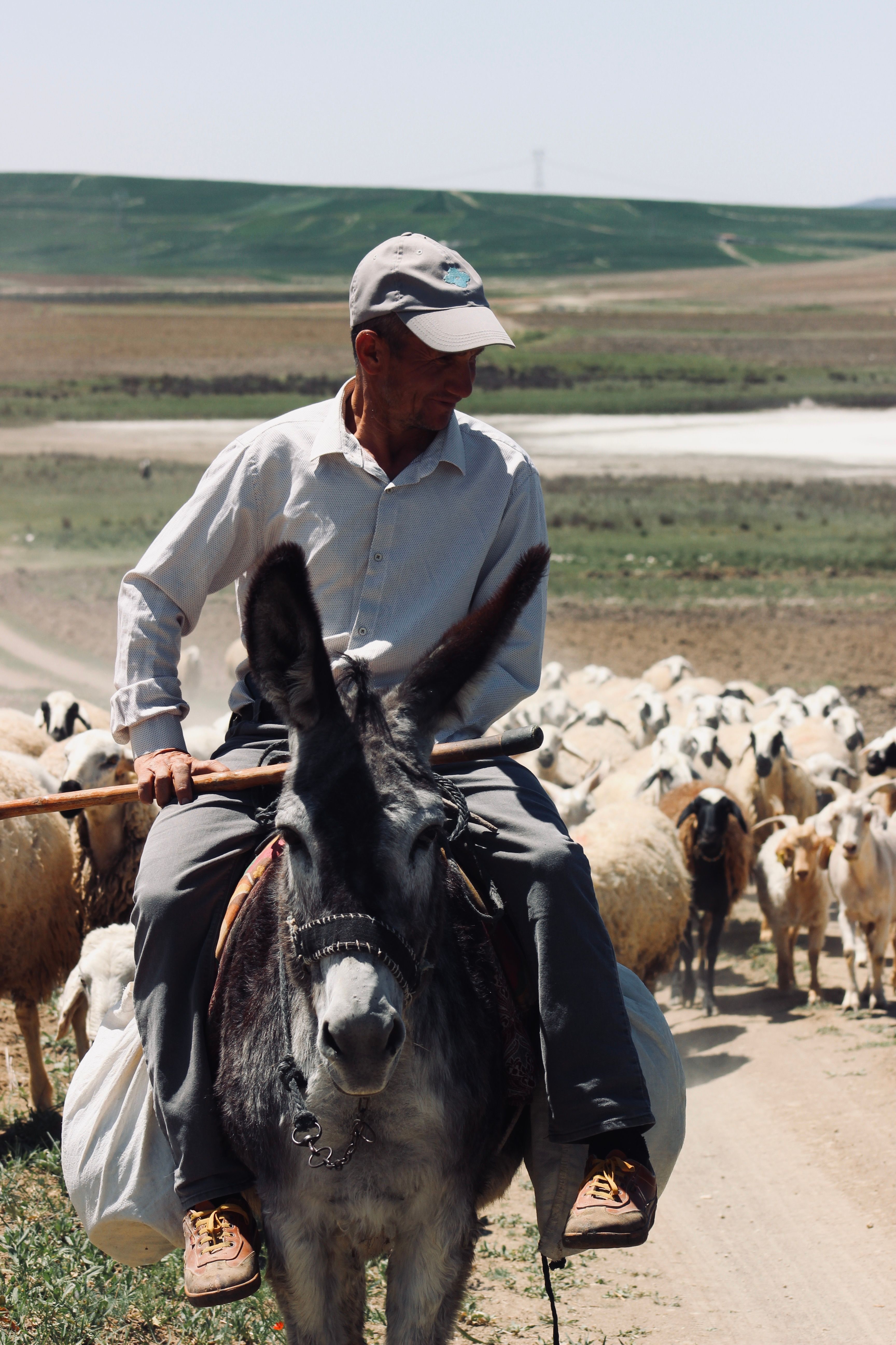Download