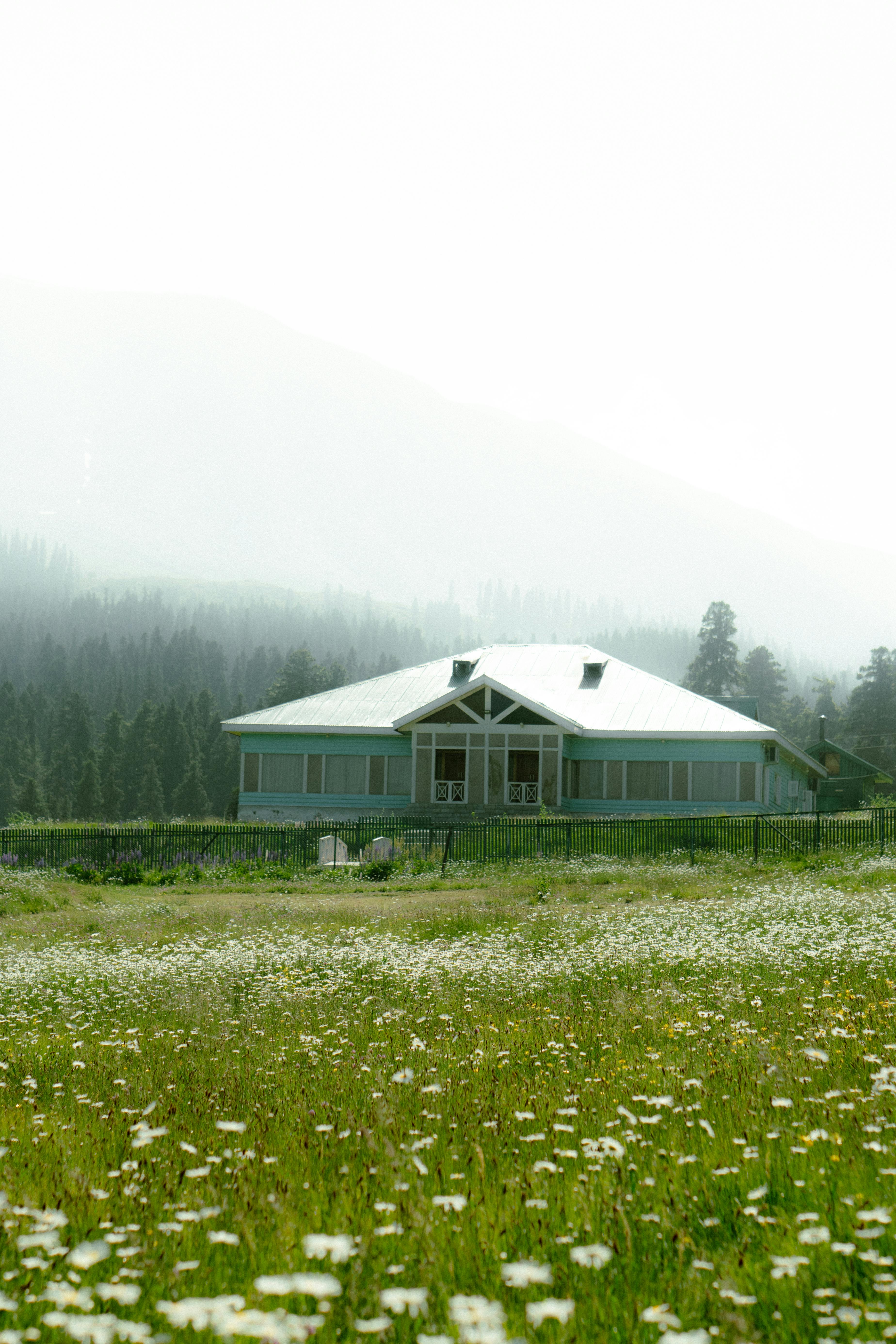 Foto stok gratis tentang 2024 wallpaper, aktivitas di luar ruangan ...