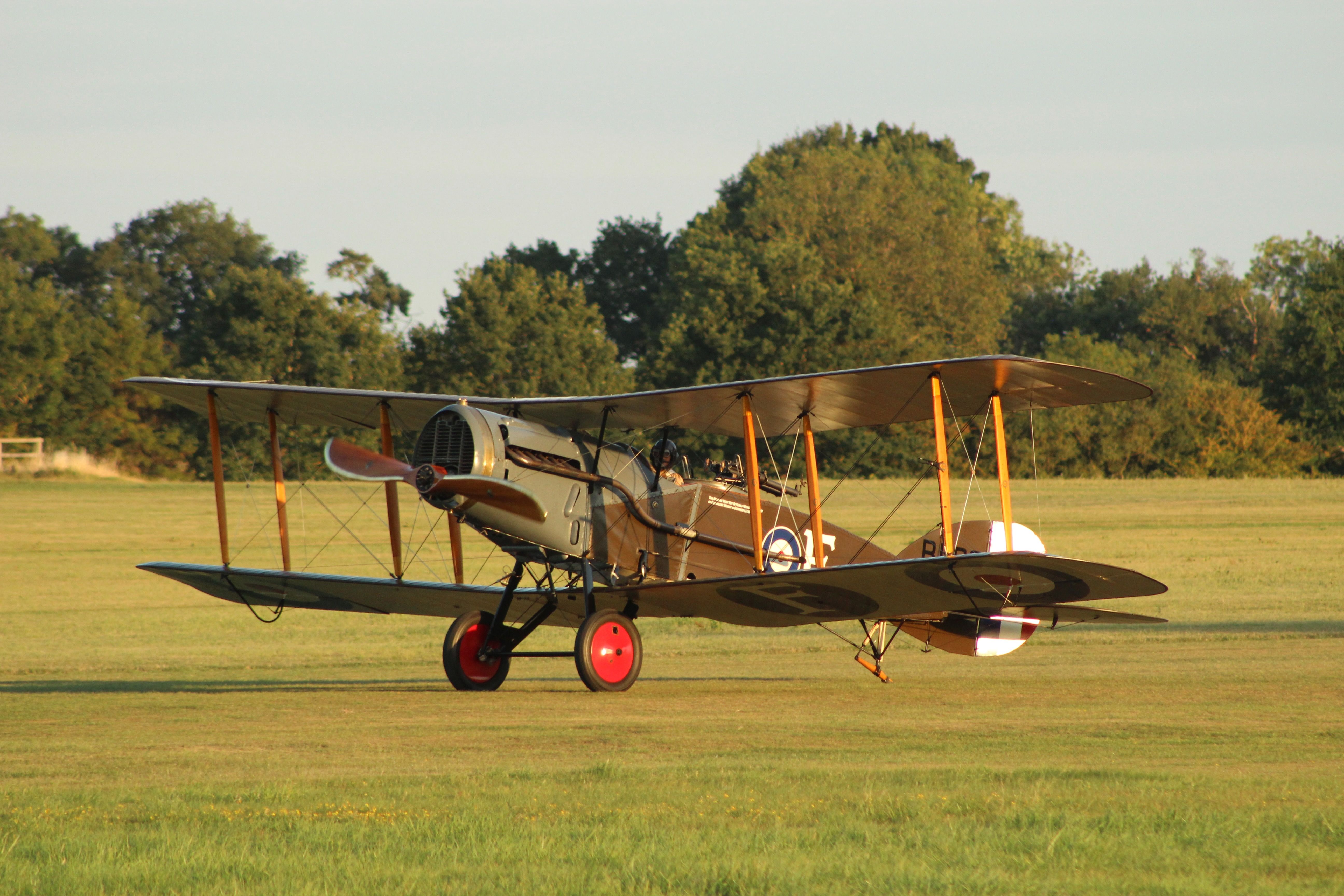 Vintage World War I Biplane on Grass Field · Free Stock Photo