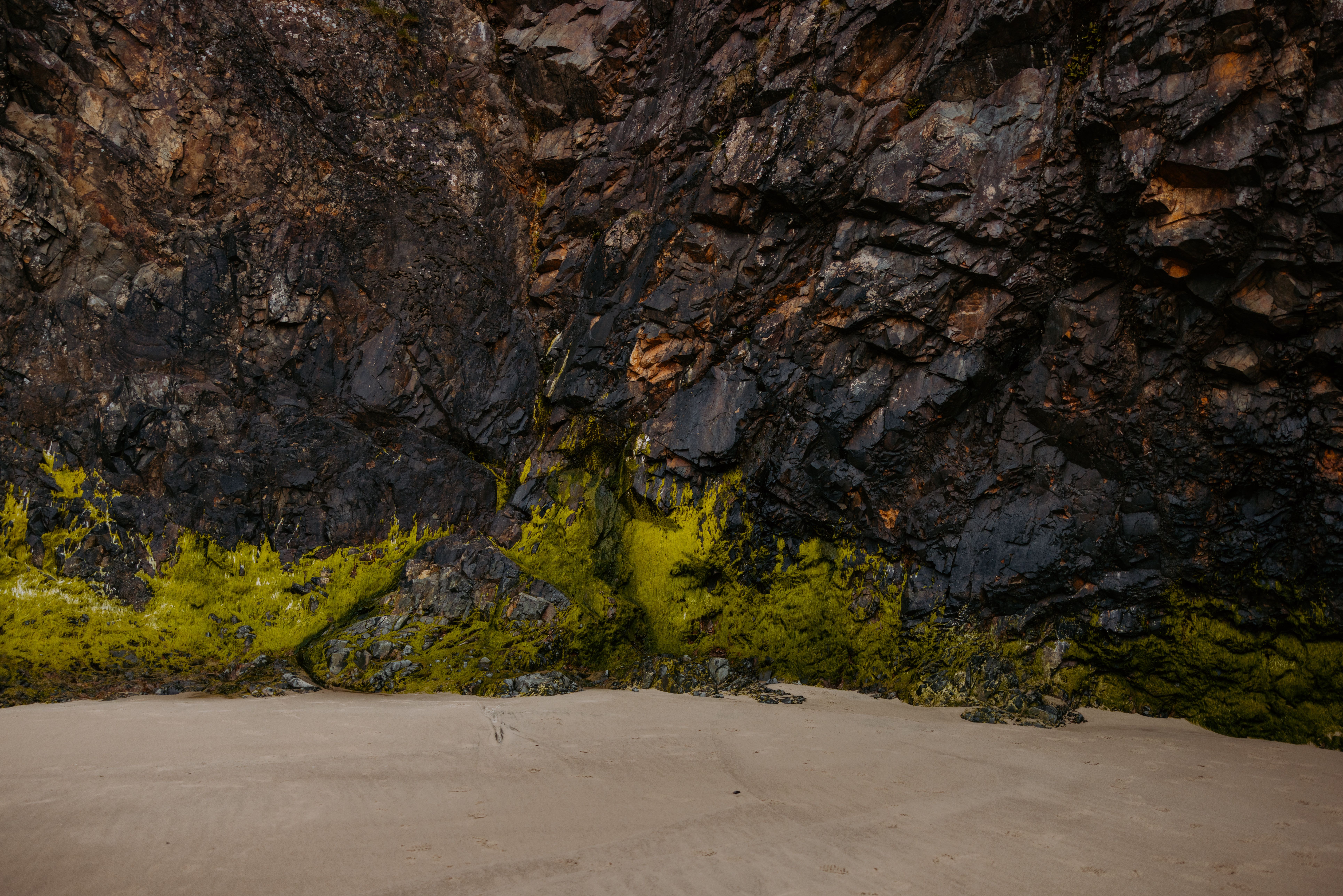 Rocky Beach Cliff with Moss and Sand Texture · Free Stock Photo