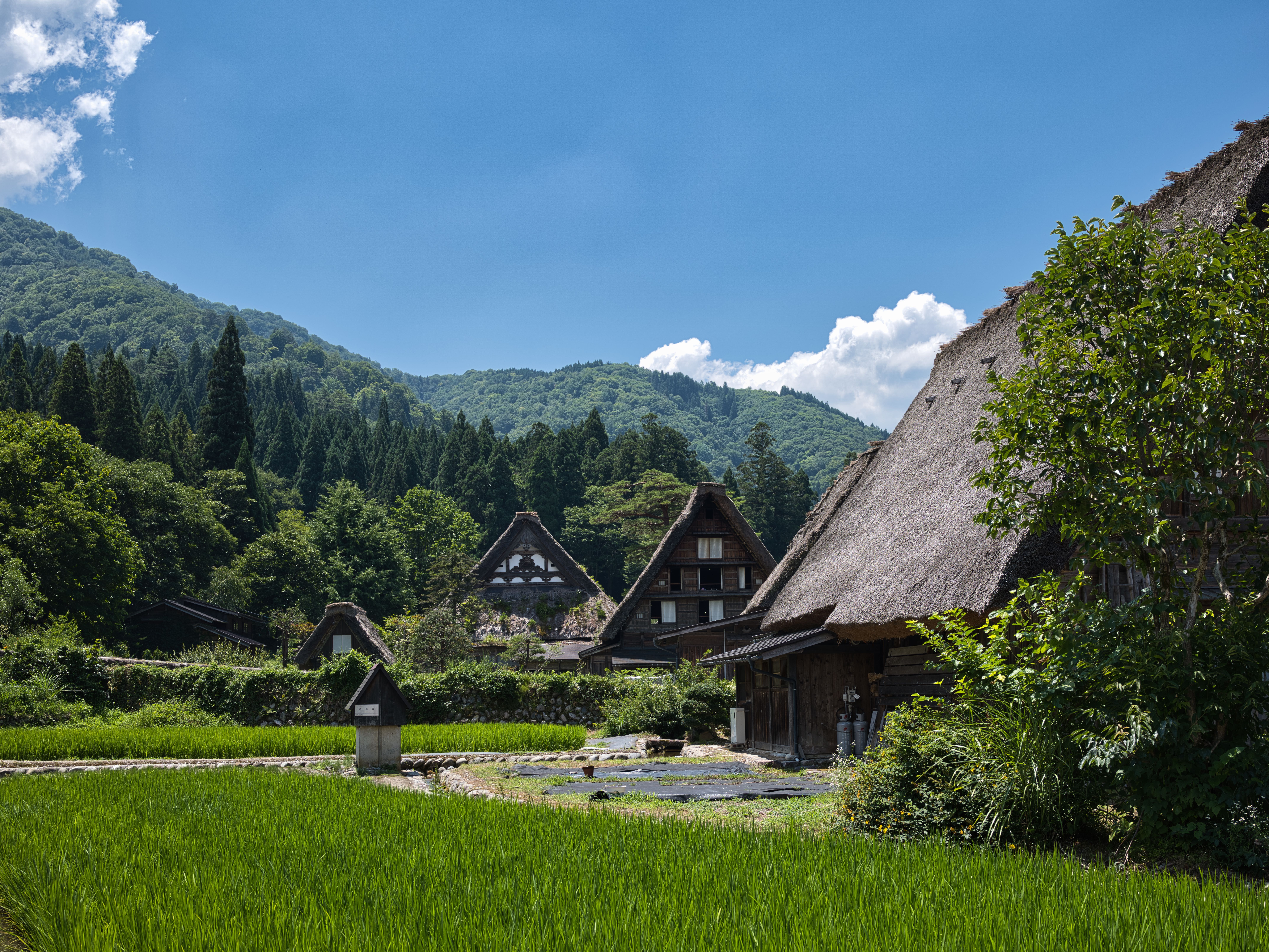 Traditional Gassho-Zukuri Houses in Shirakawa, Japan · Free Stock Photo
